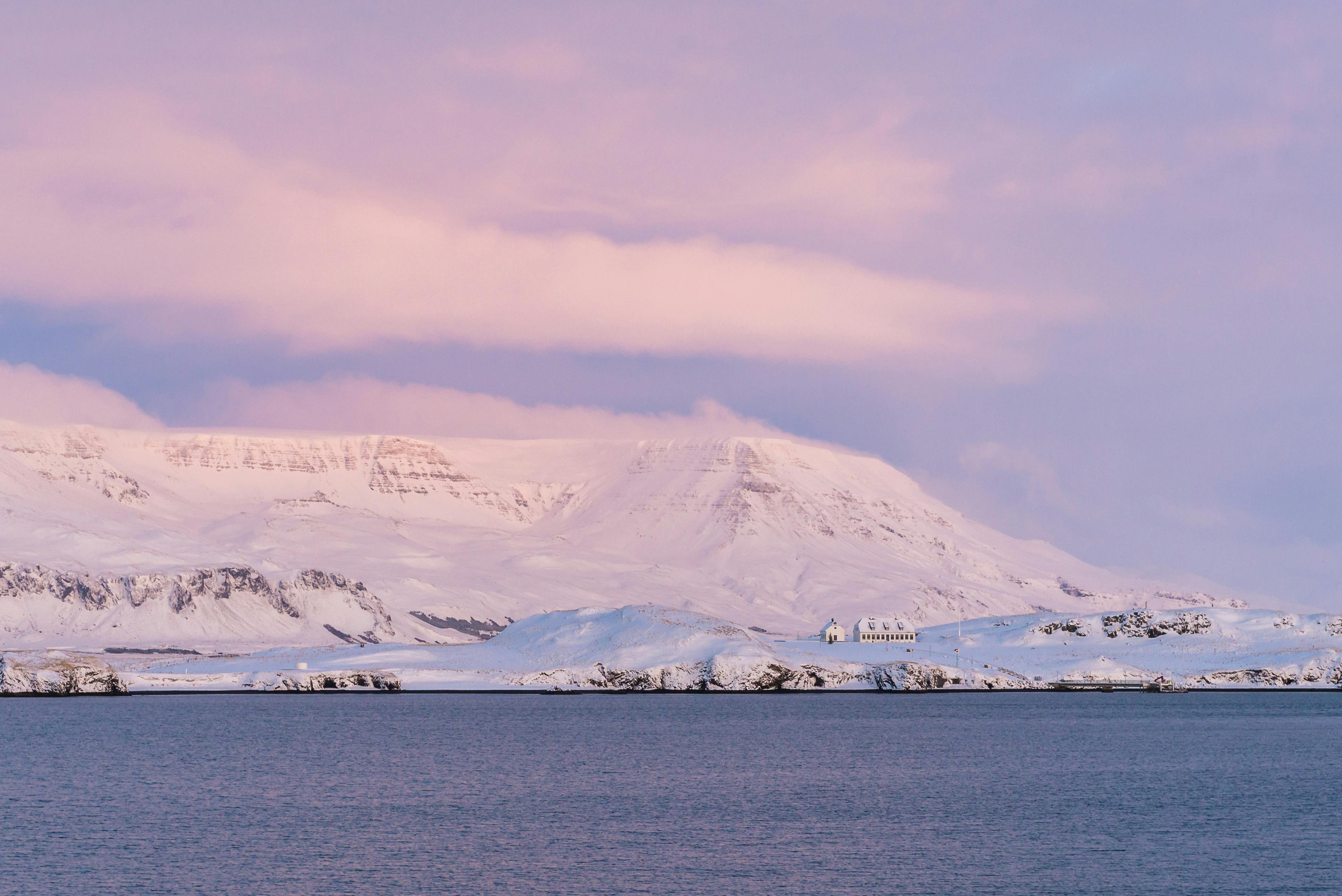 Falling Snow over the Peace Bridge by Downtown Calgary · Free Stock Photo
