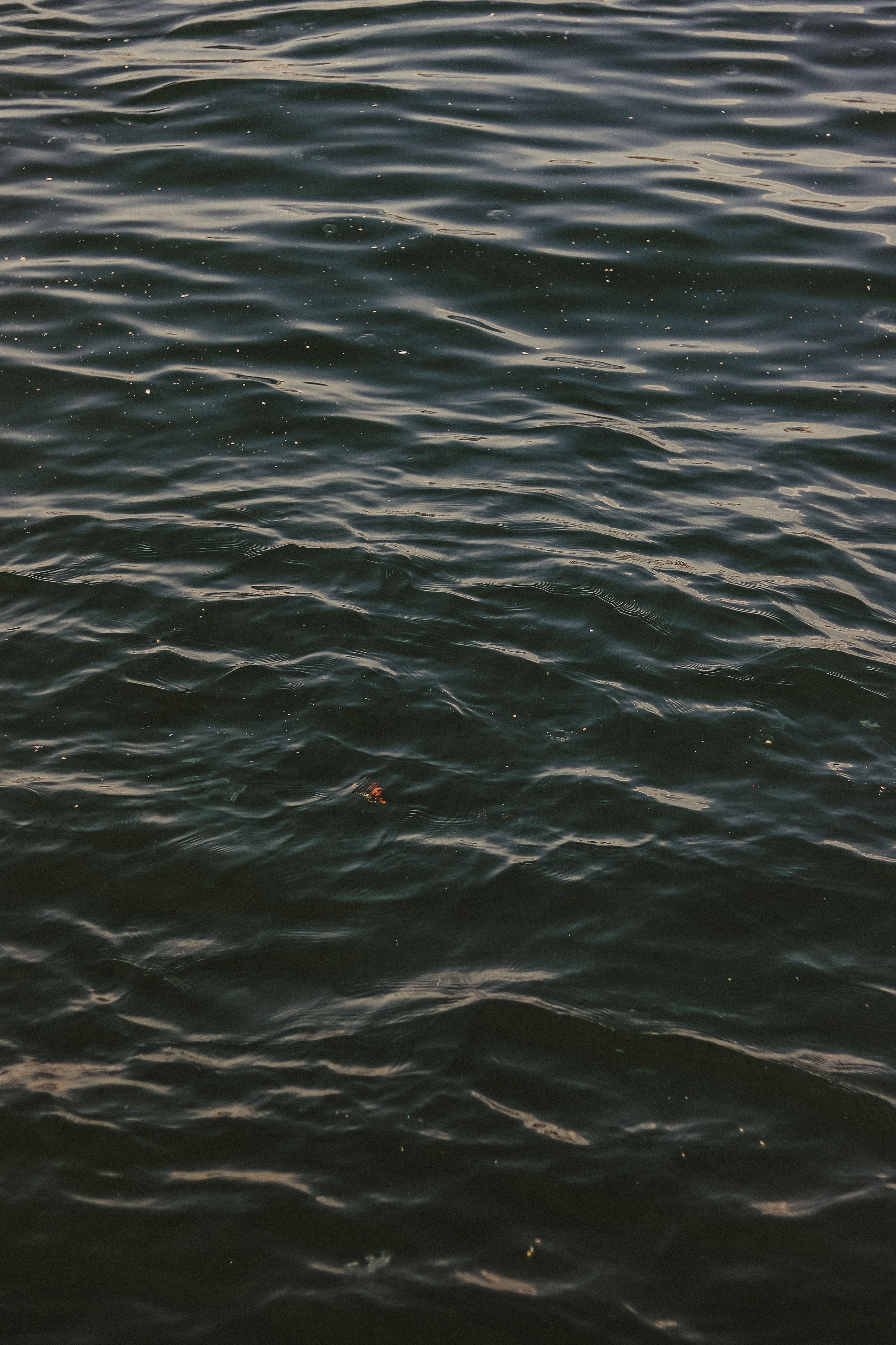 Wave Background Pattern Photos, Download The BEST Free Wave Background ...
