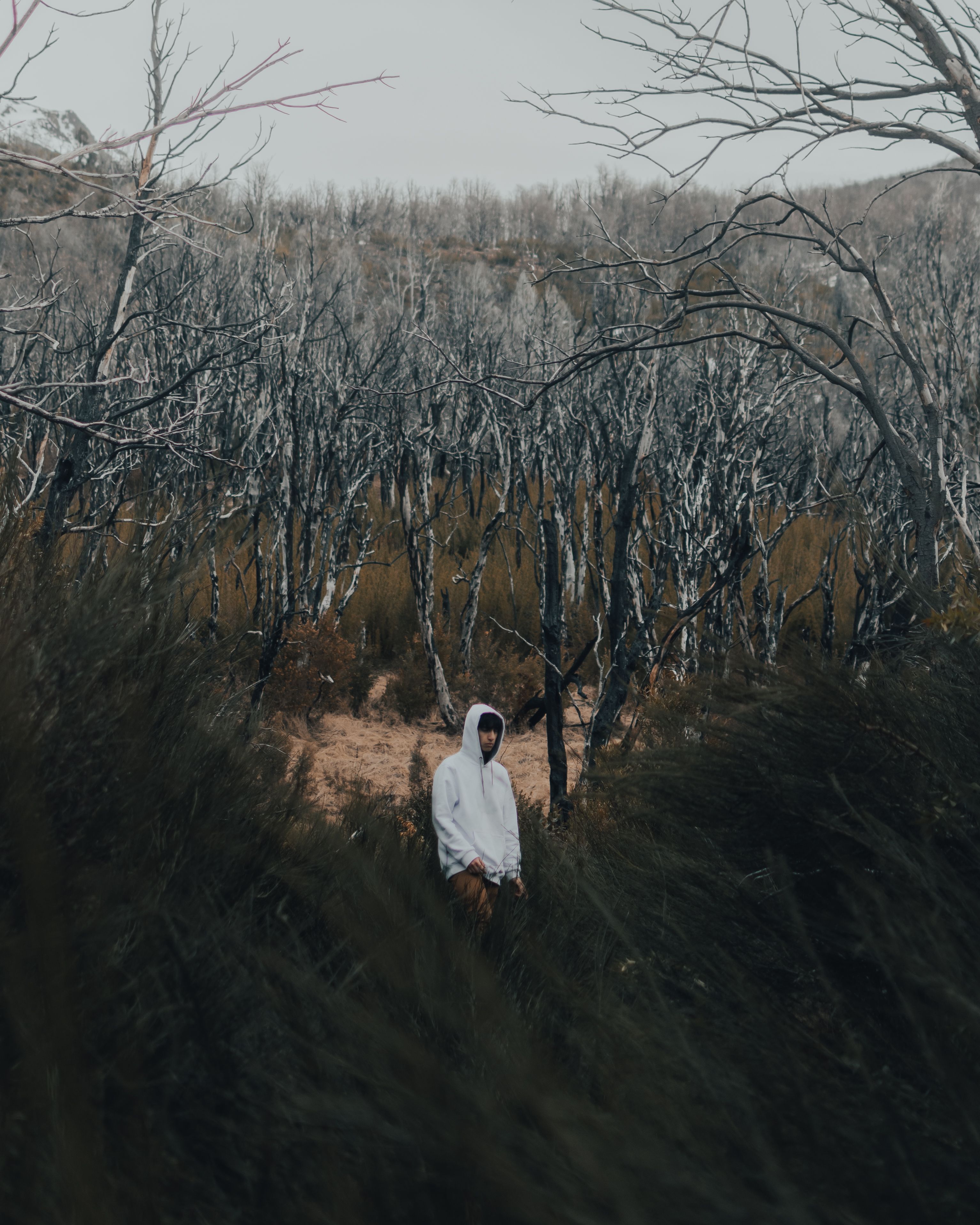 Alone In The Wilderness Photos, Download The BEST Free Alone In The ...