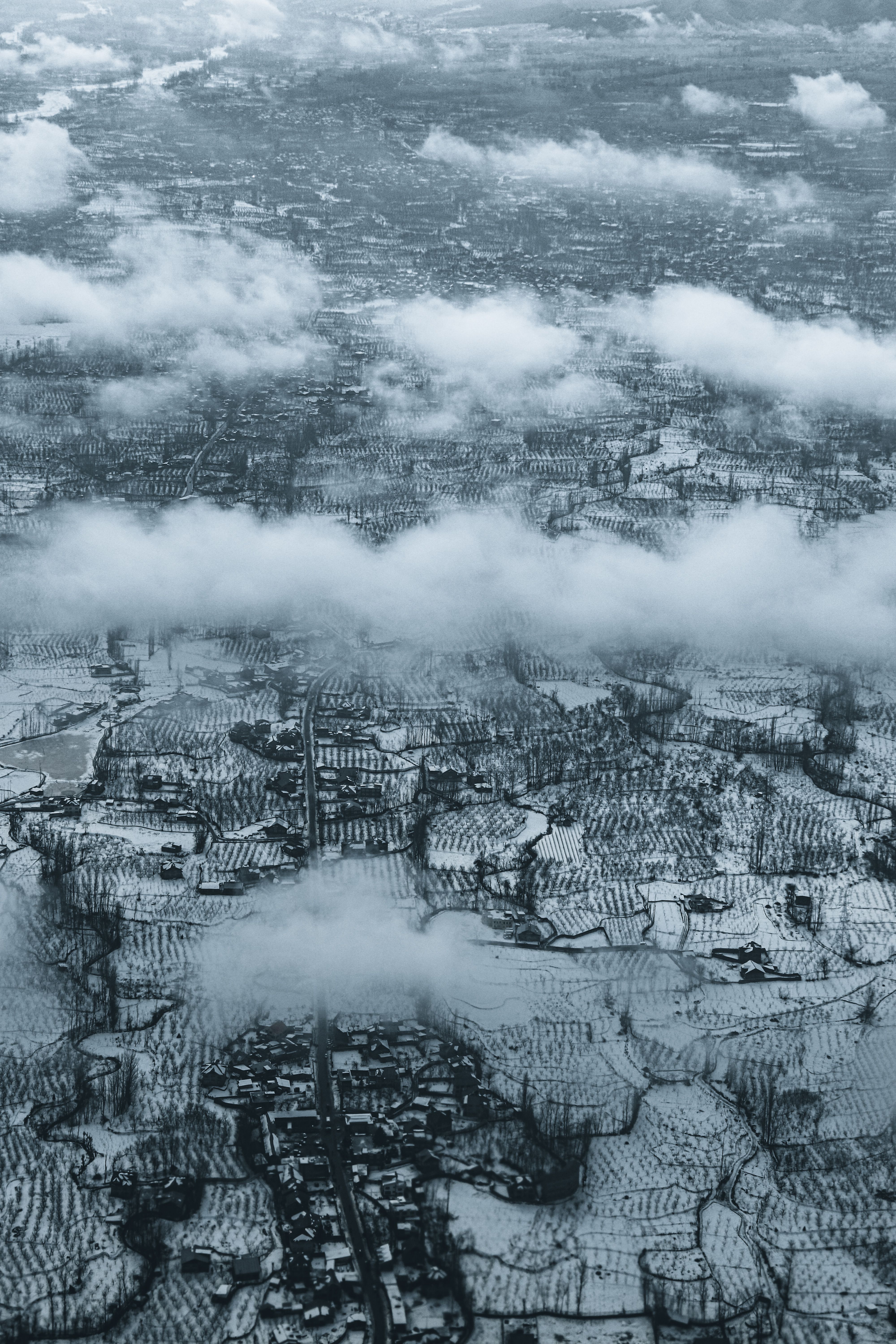 Aerial Photography of Snow Covered Trees · Free Stock Photo