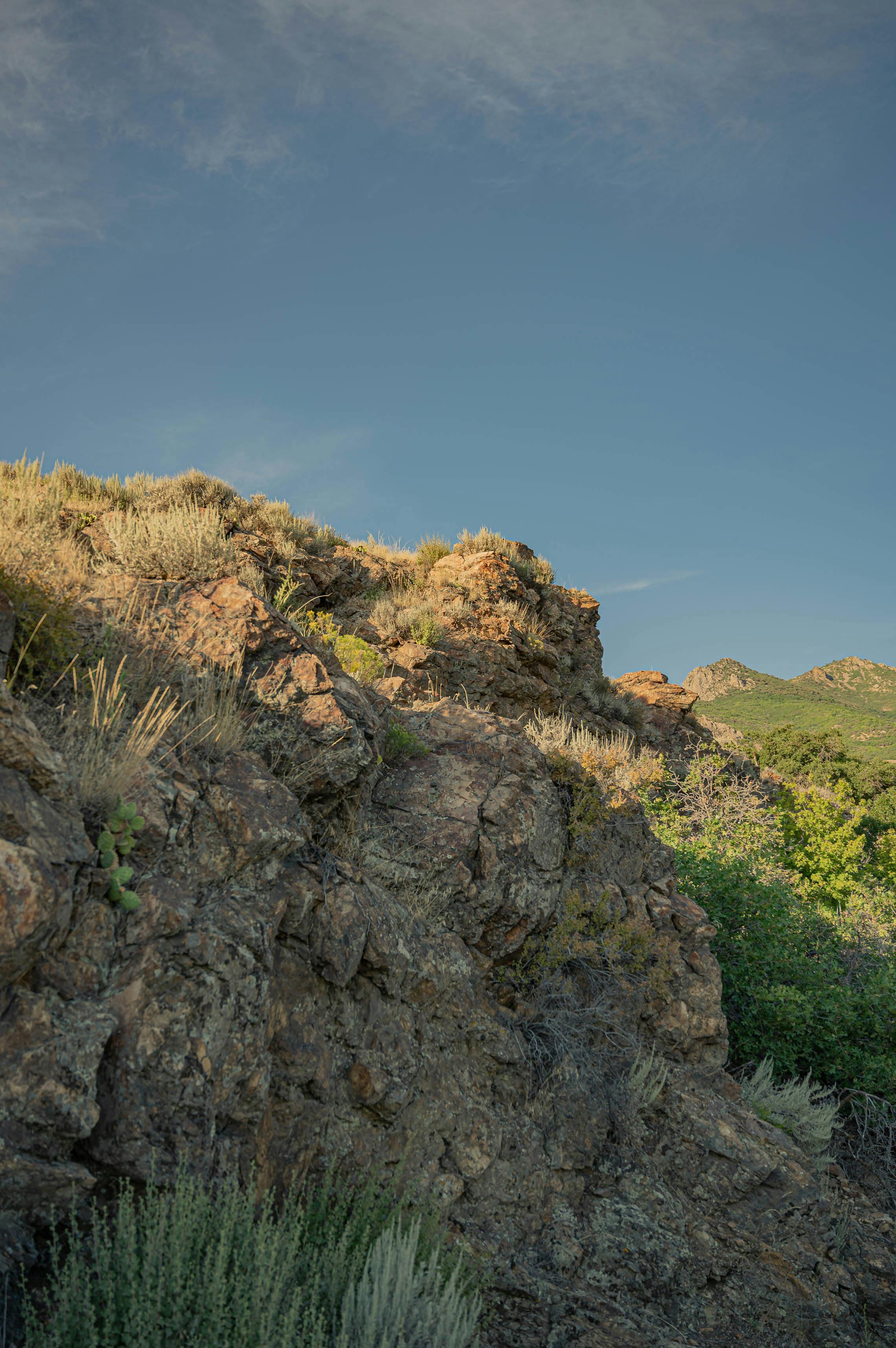 Photo of a River Shore · Free Stock Photo