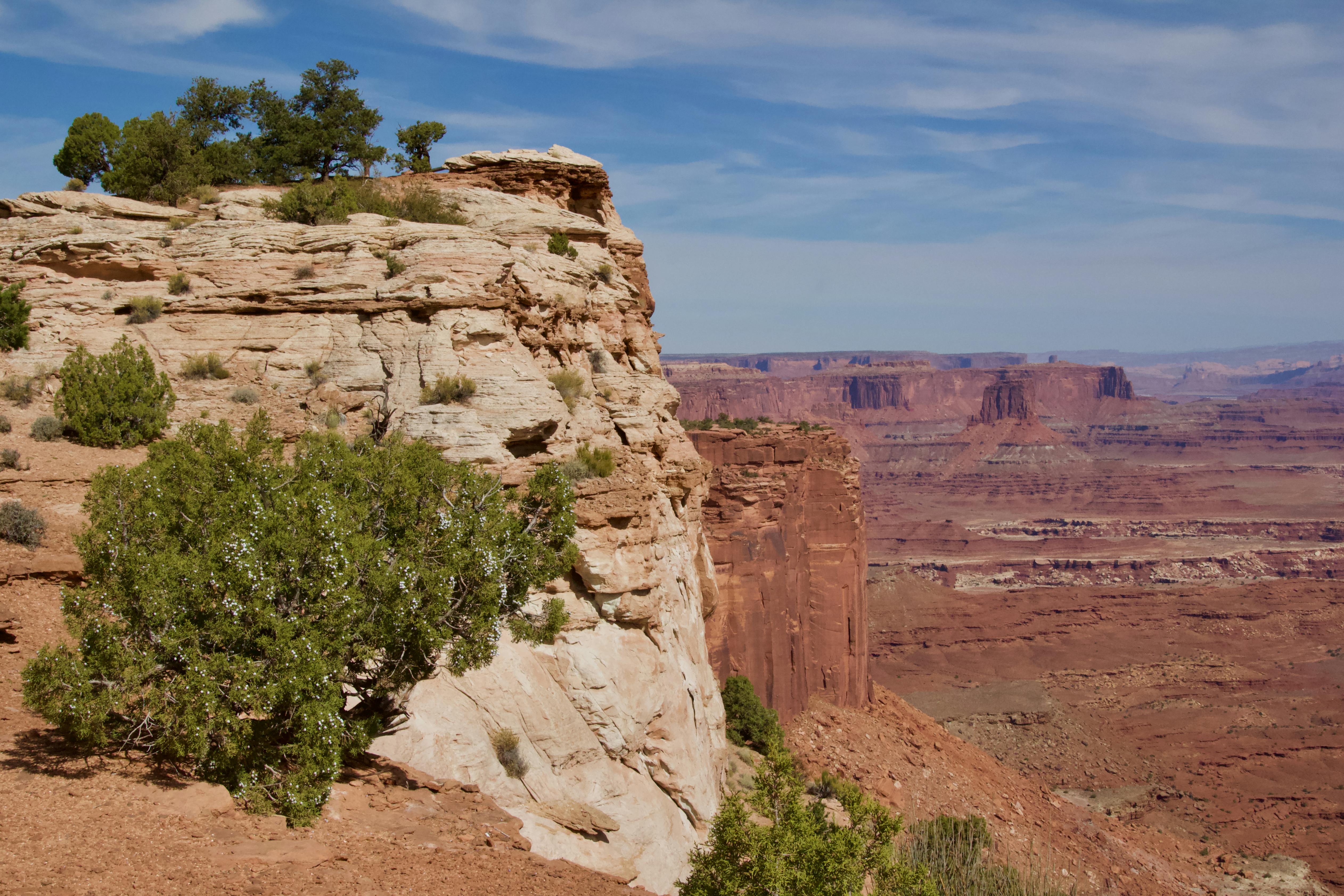 Green Trees Near Rock Formation · Free Stock Photo
