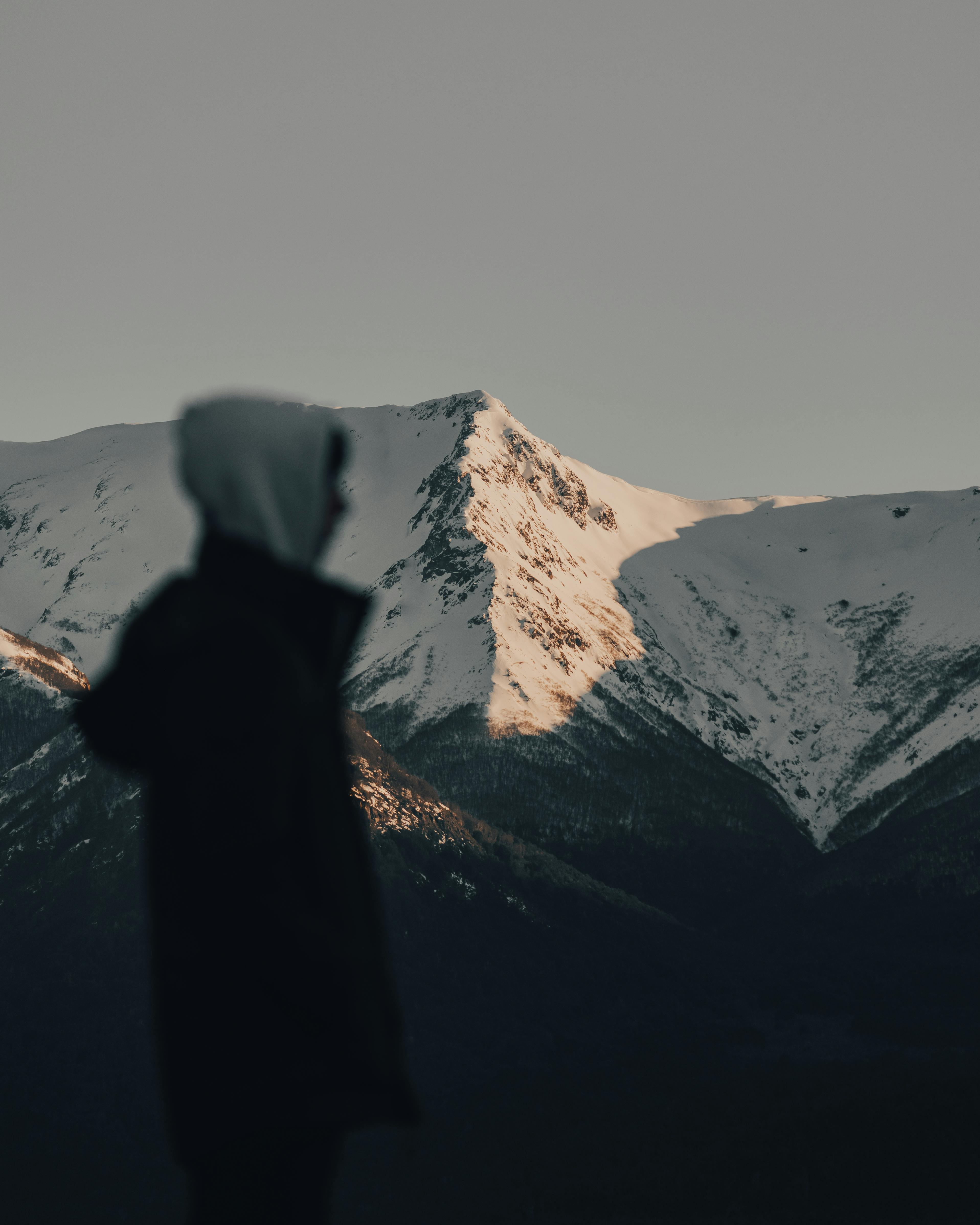A Man Holding an Indian Flag While Standing in the Himalayas · Free ...