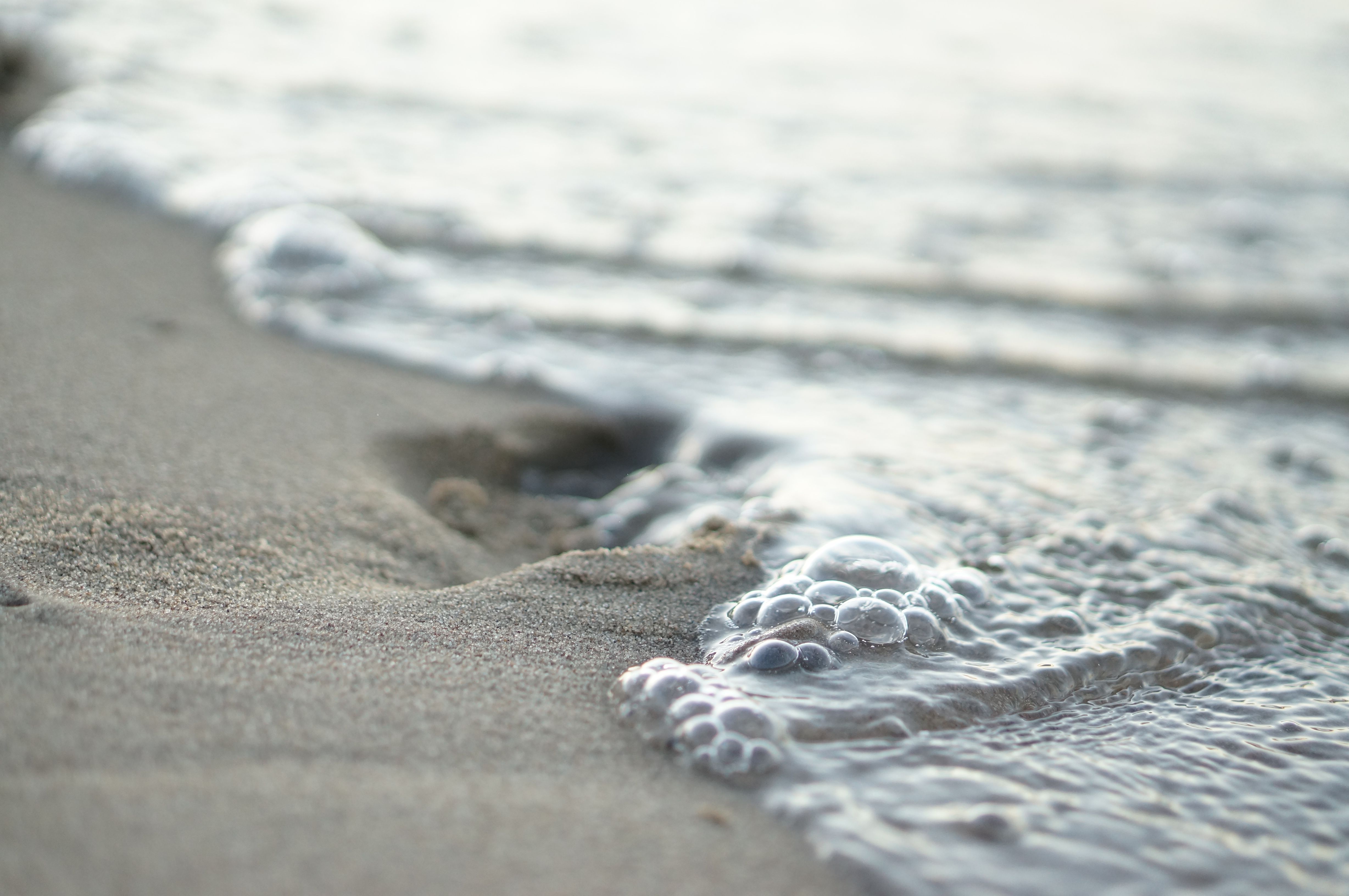 A Close-Up Shot of a Shore · Free Stock Photo
