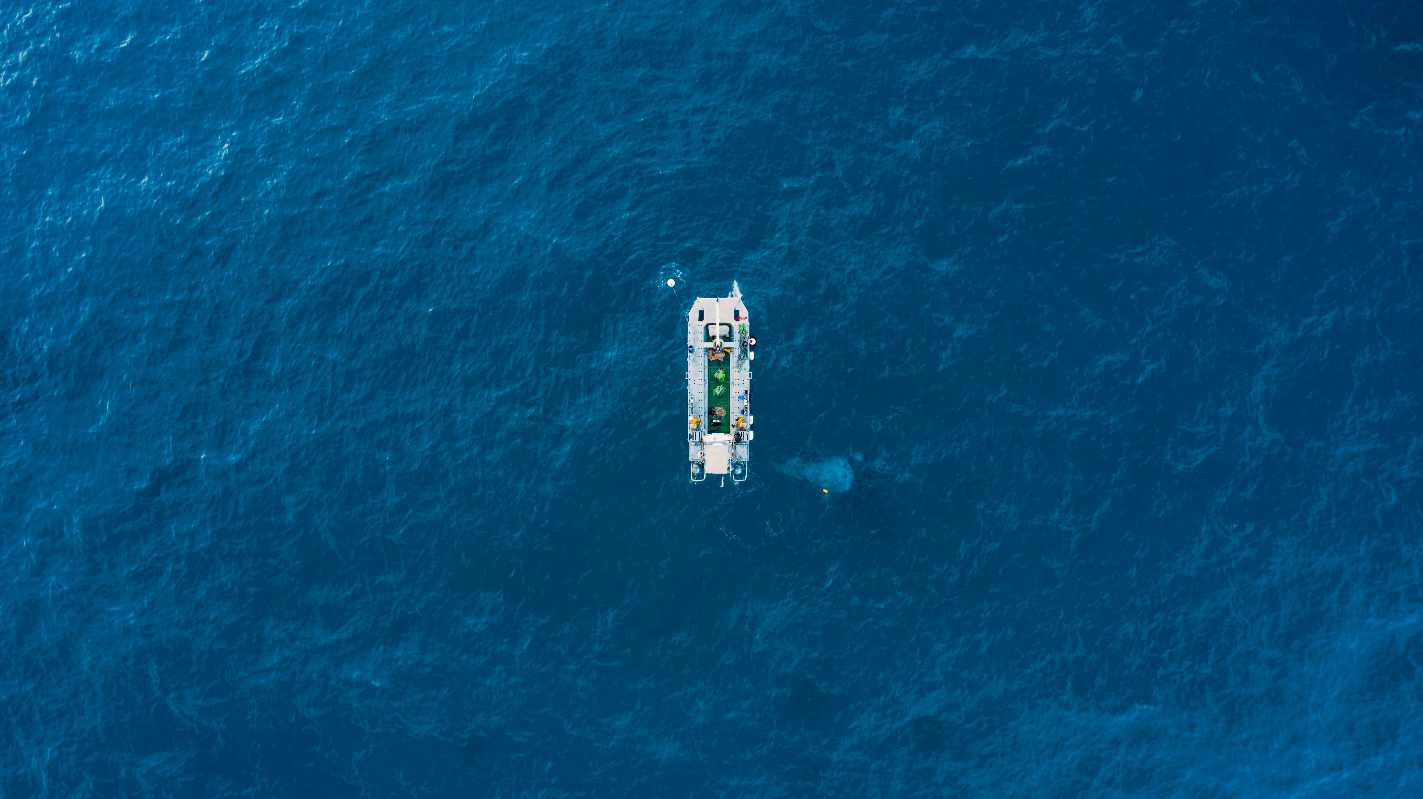 Boat making wake while floating in sea · Free Stock Photo