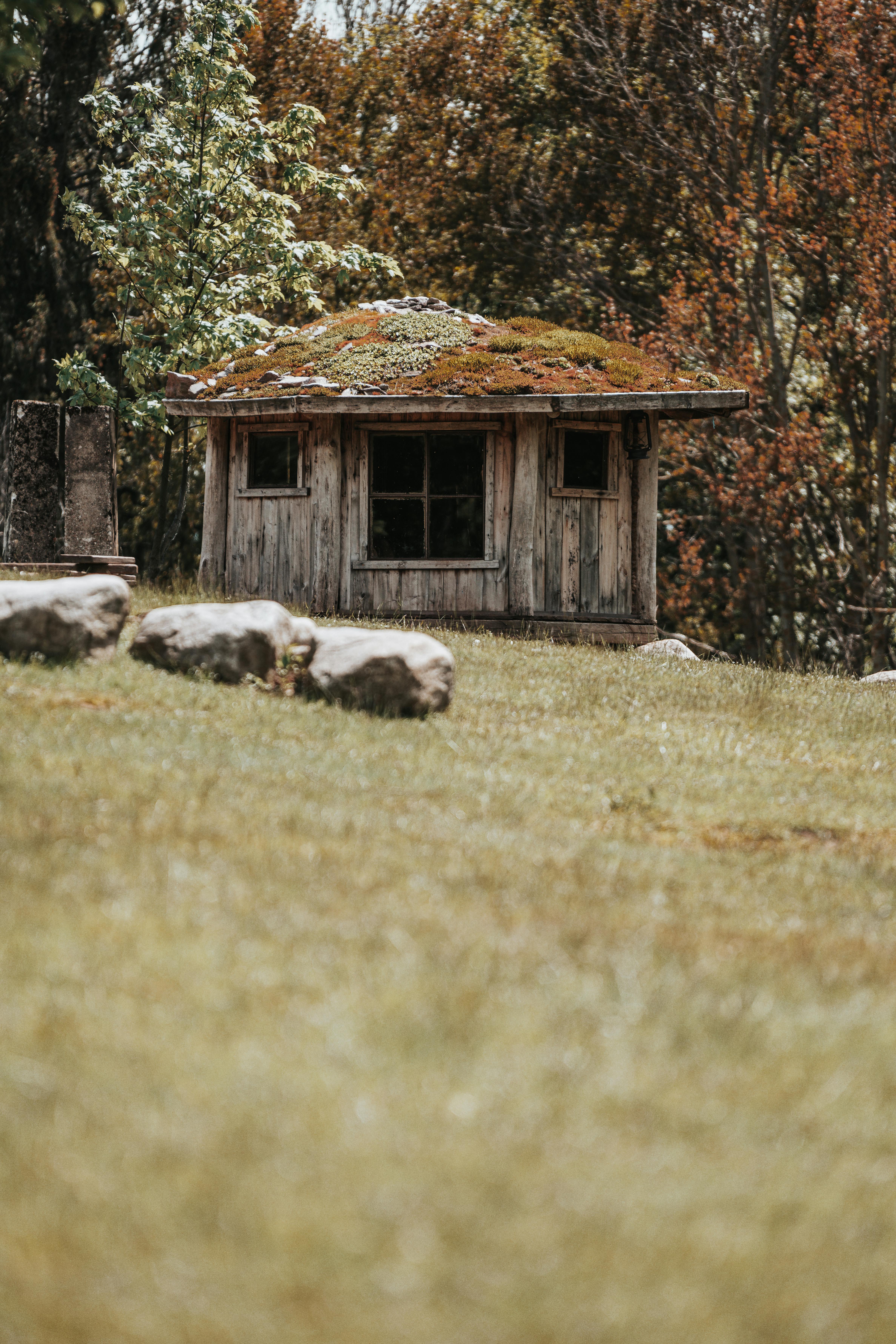 Wooden Cottage with Moss on the Roof · Free Stock Photo