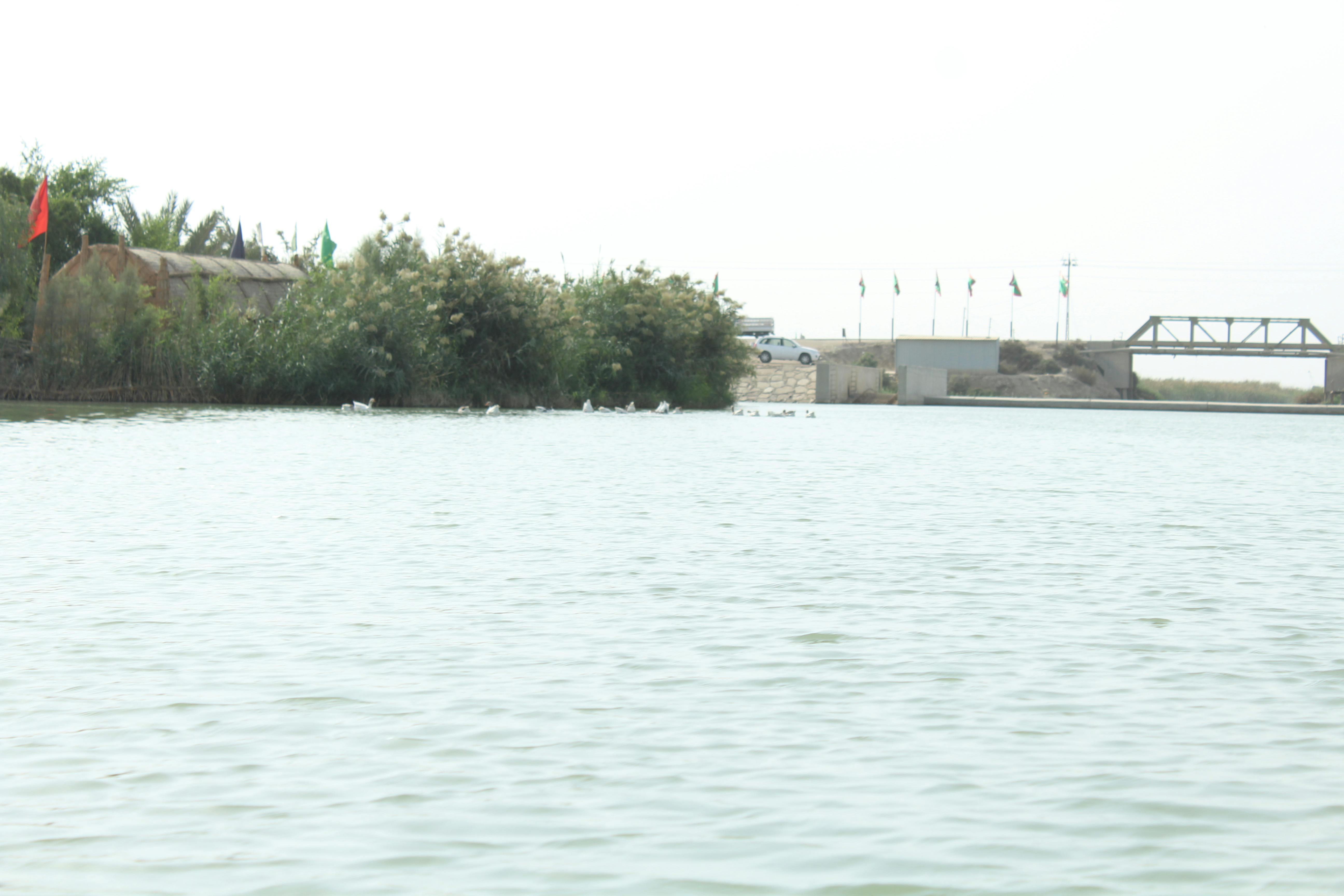 Free stock photo of bridge, The Marshlands of Iraq