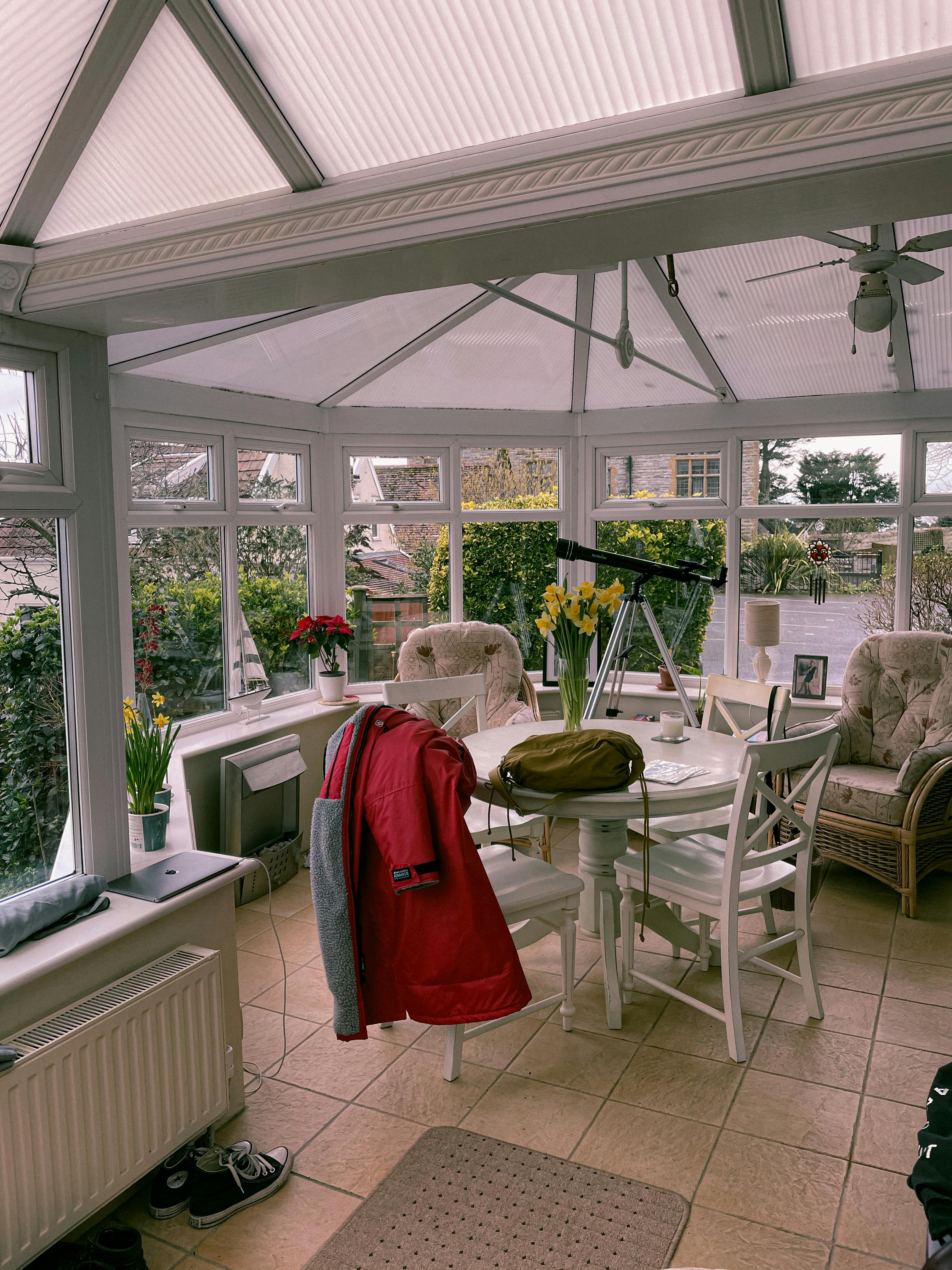 Plants Inside A Pot · Free Stock Photo