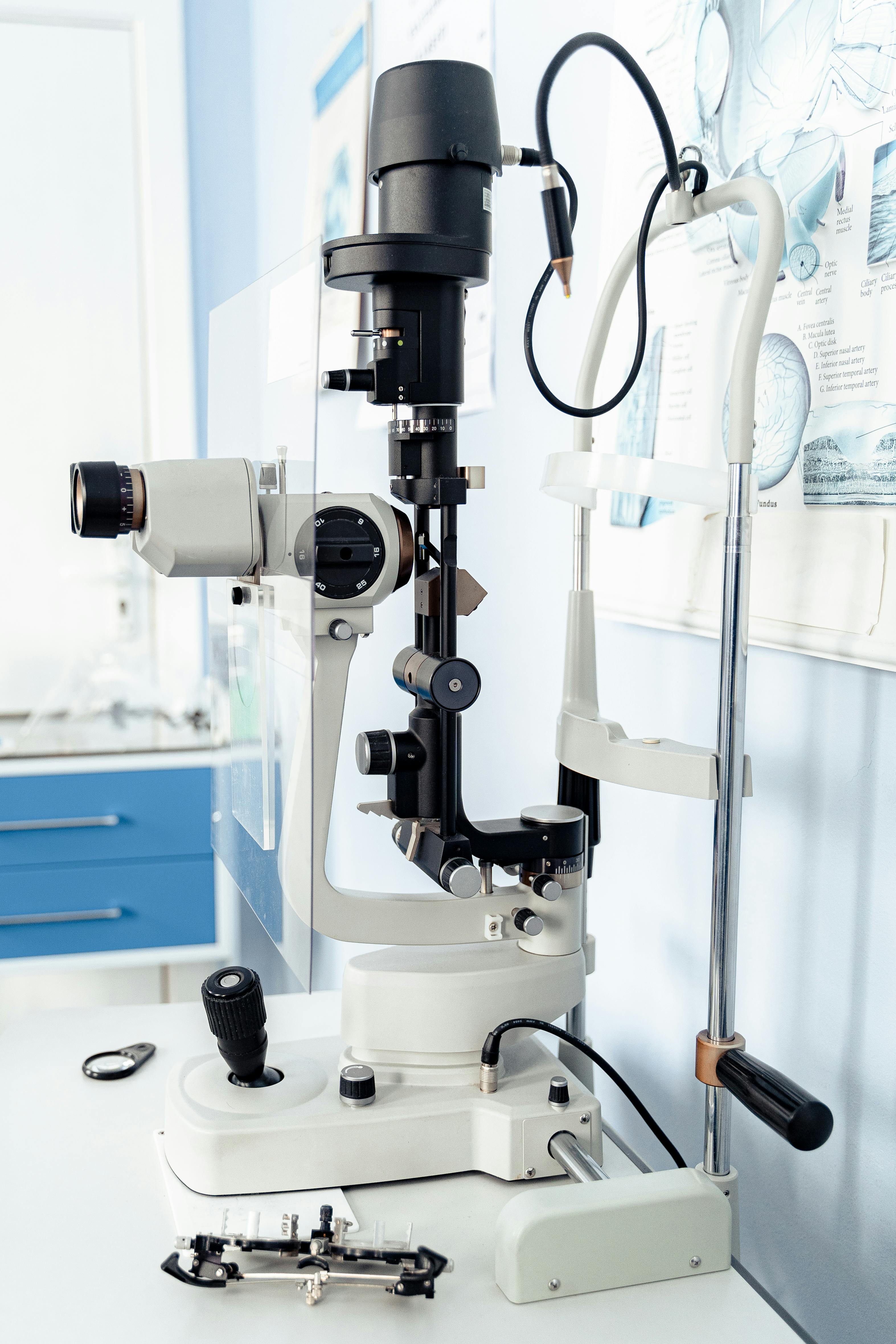 Biomicroscope Photos, Download The BEST Free Biomicroscope Stock Photos ...