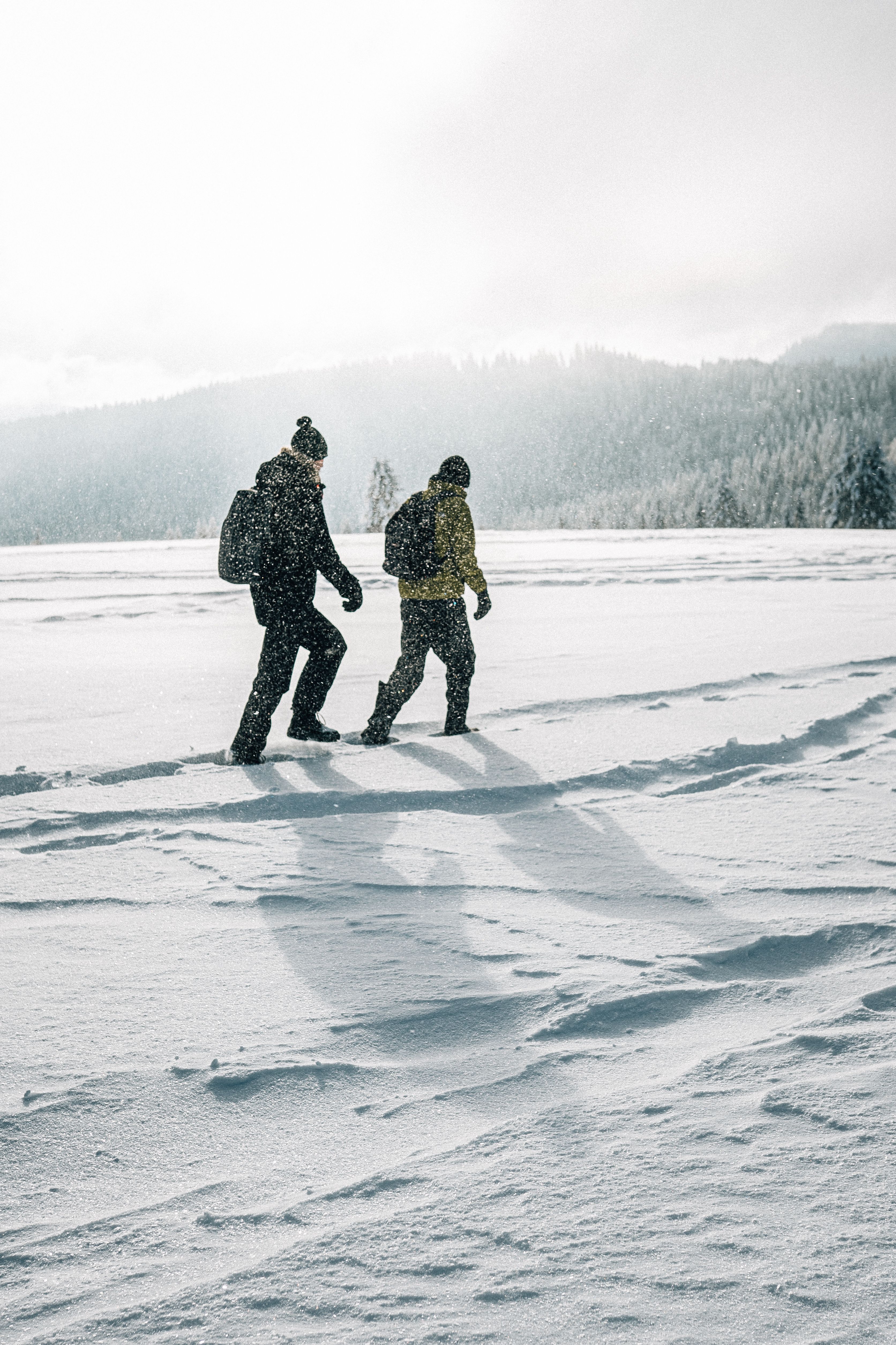 People Walking on Snow Covered Ground · Free Stock Photo