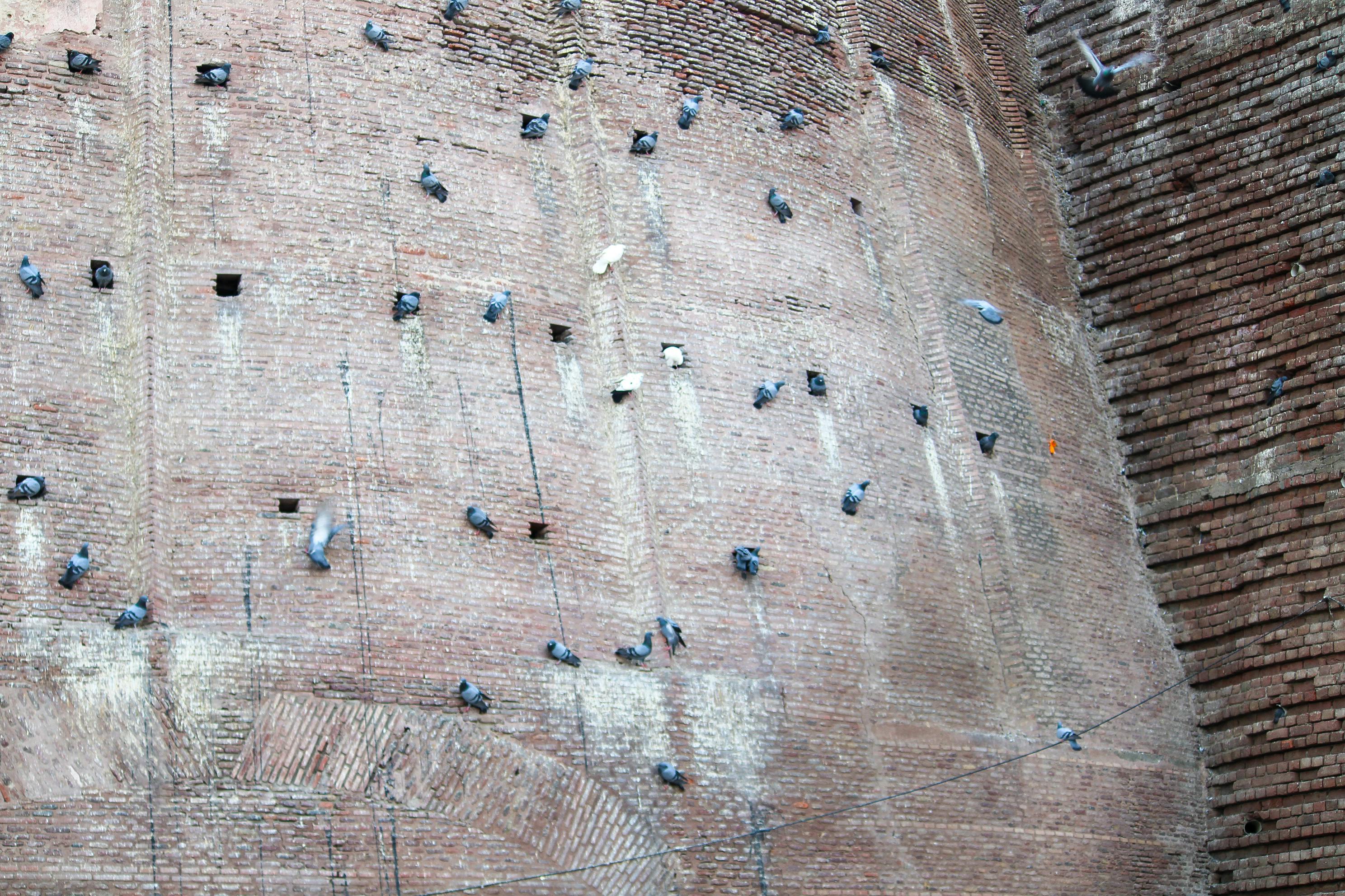 Munendra Kumar - Fotografía