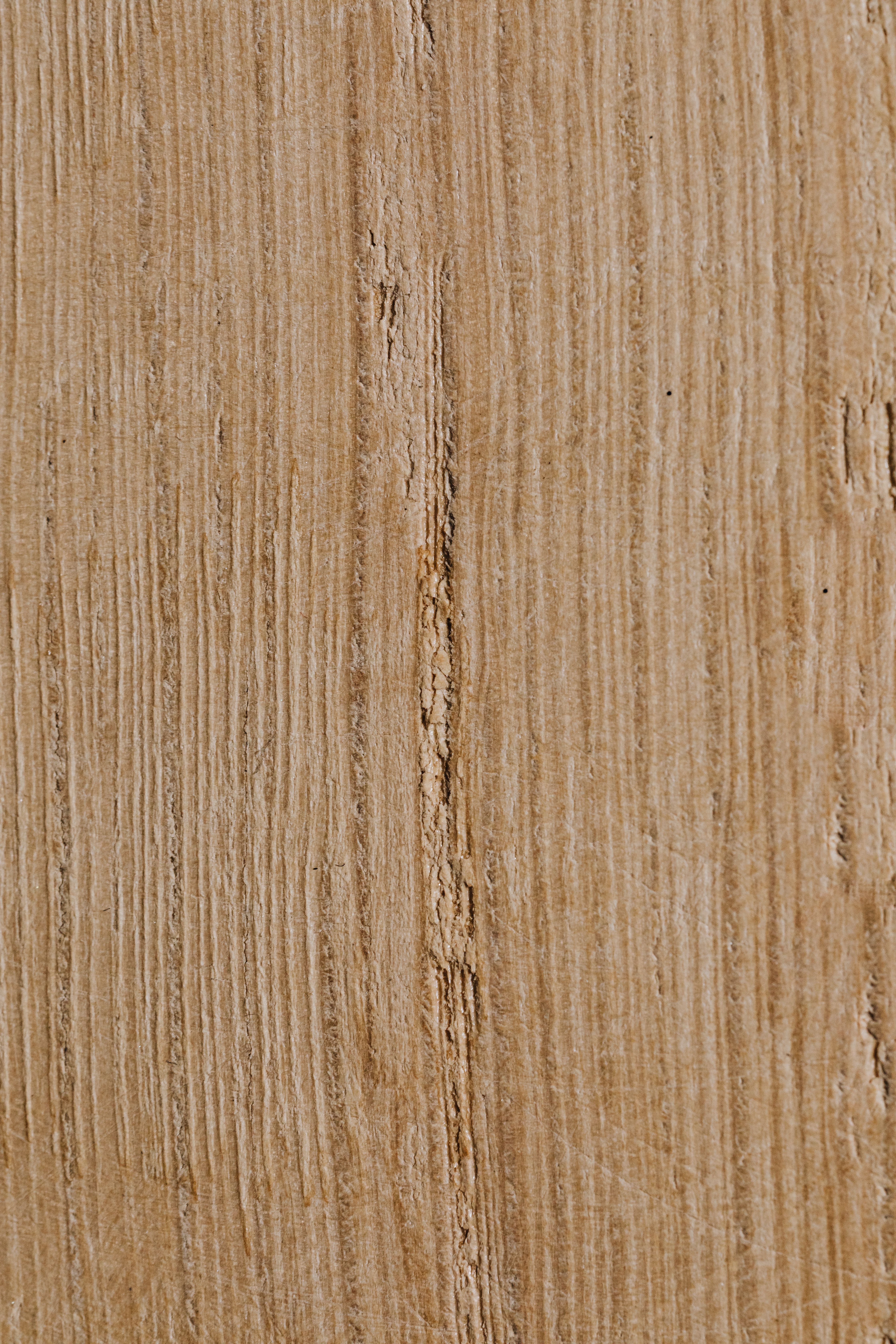 Extreme Close-up of Wood Texture · Free Stock Photo