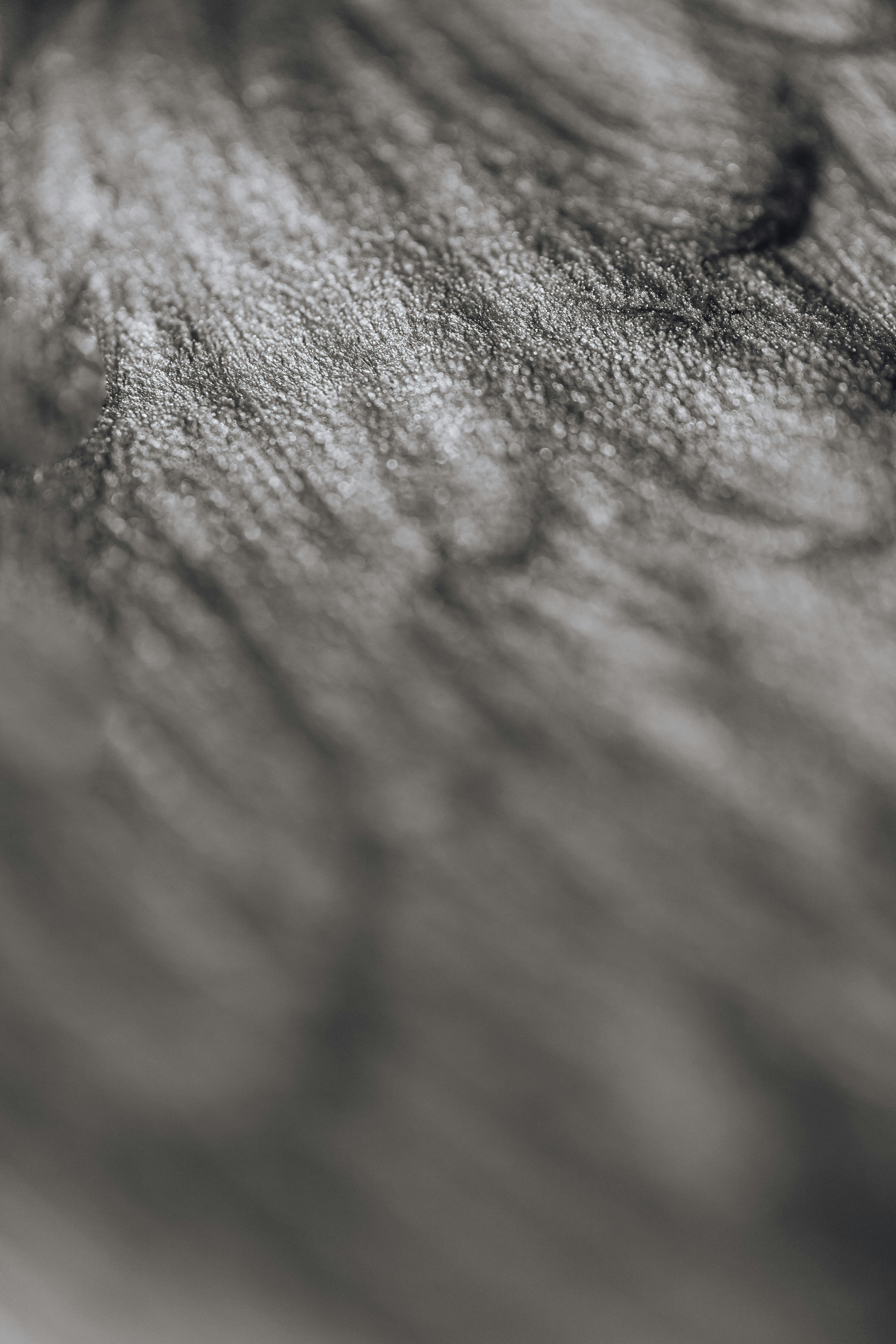 Silver Paint Texture · Free Stock Photo