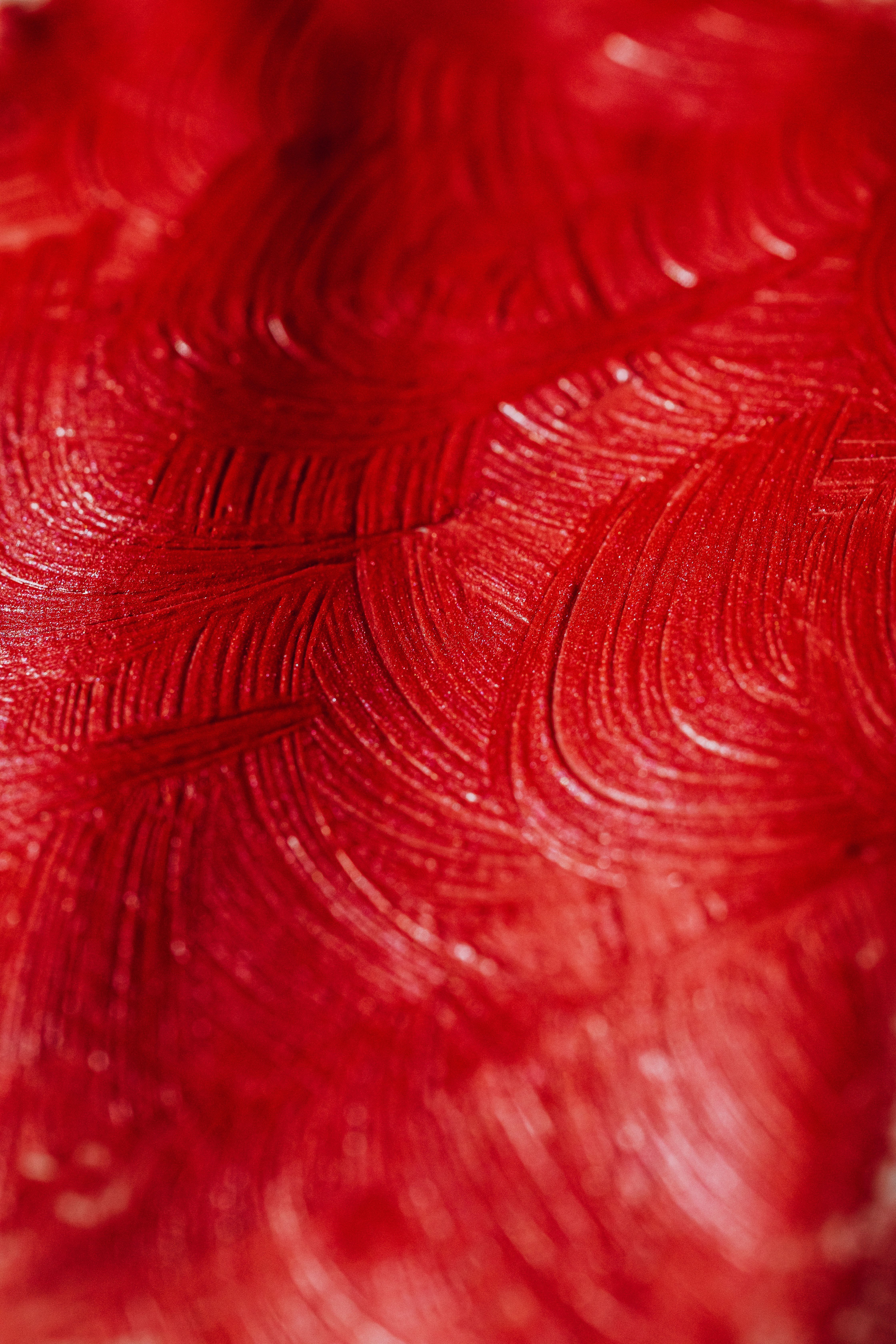 Color: Red Photos, Download The BEST Free Color: Red Stock Photos & HD ...