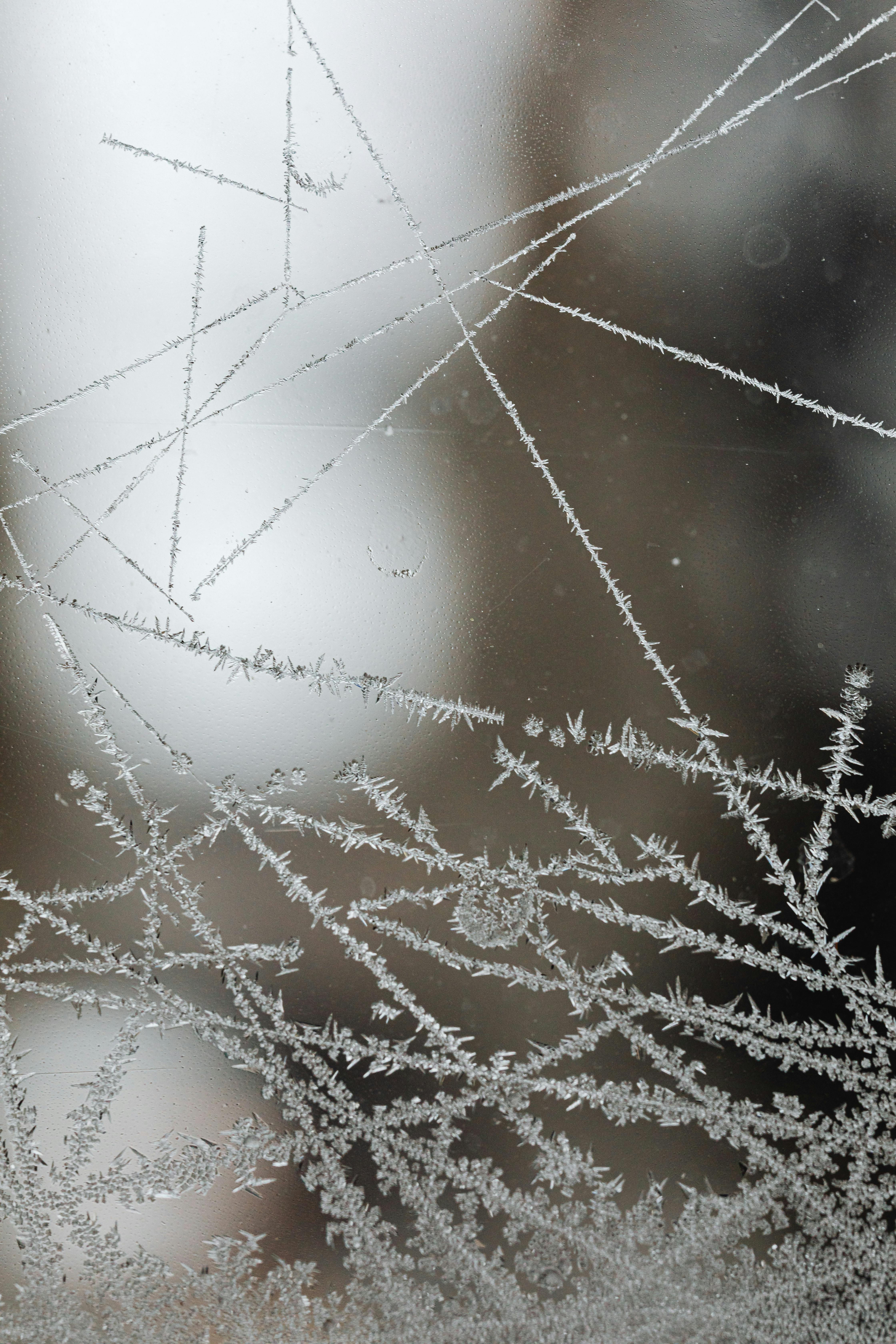 Frosted Photos, Download The BEST Free Frosted Stock Photos & HD Images