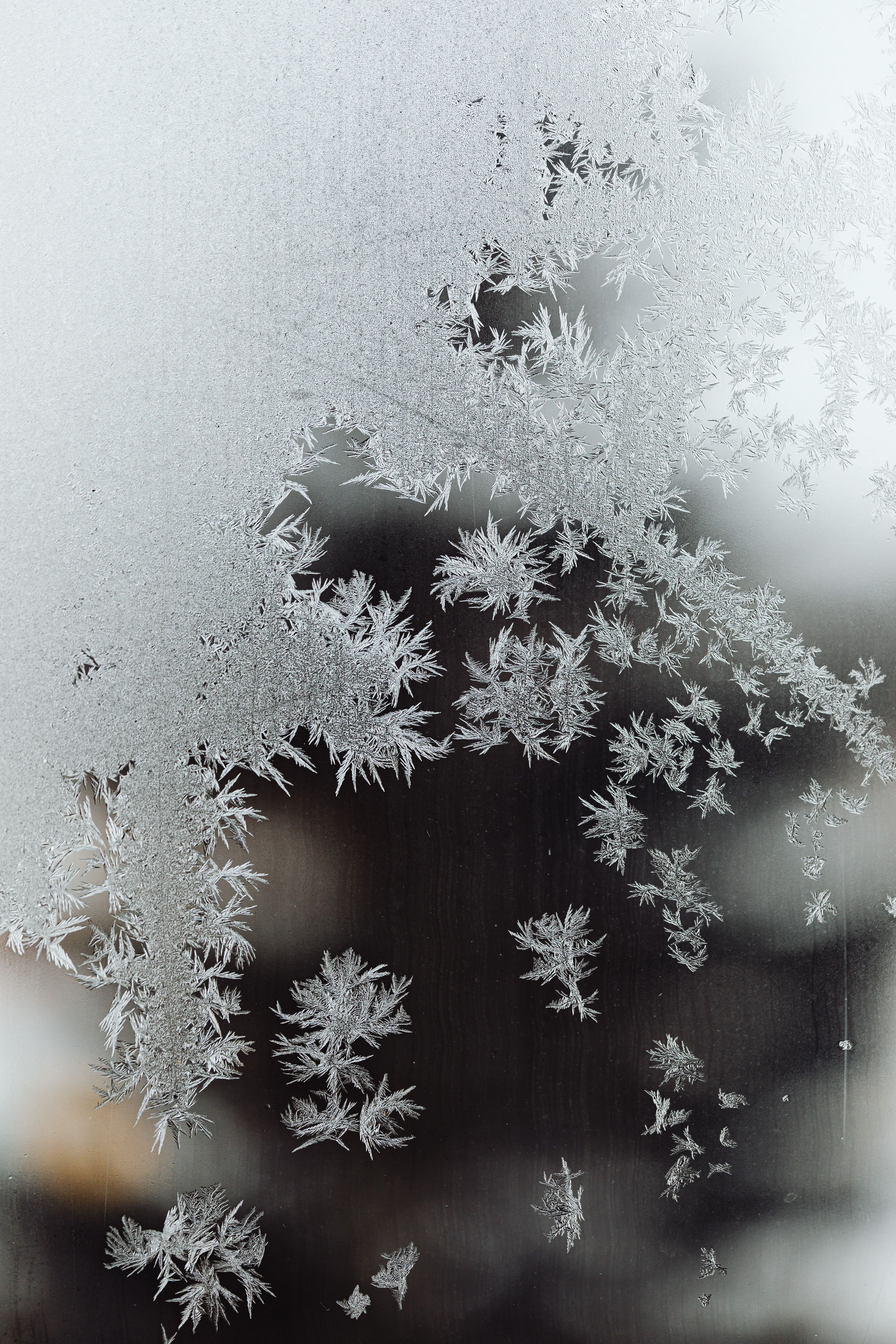 Frost Pattern on Glass · Free Stock Photo