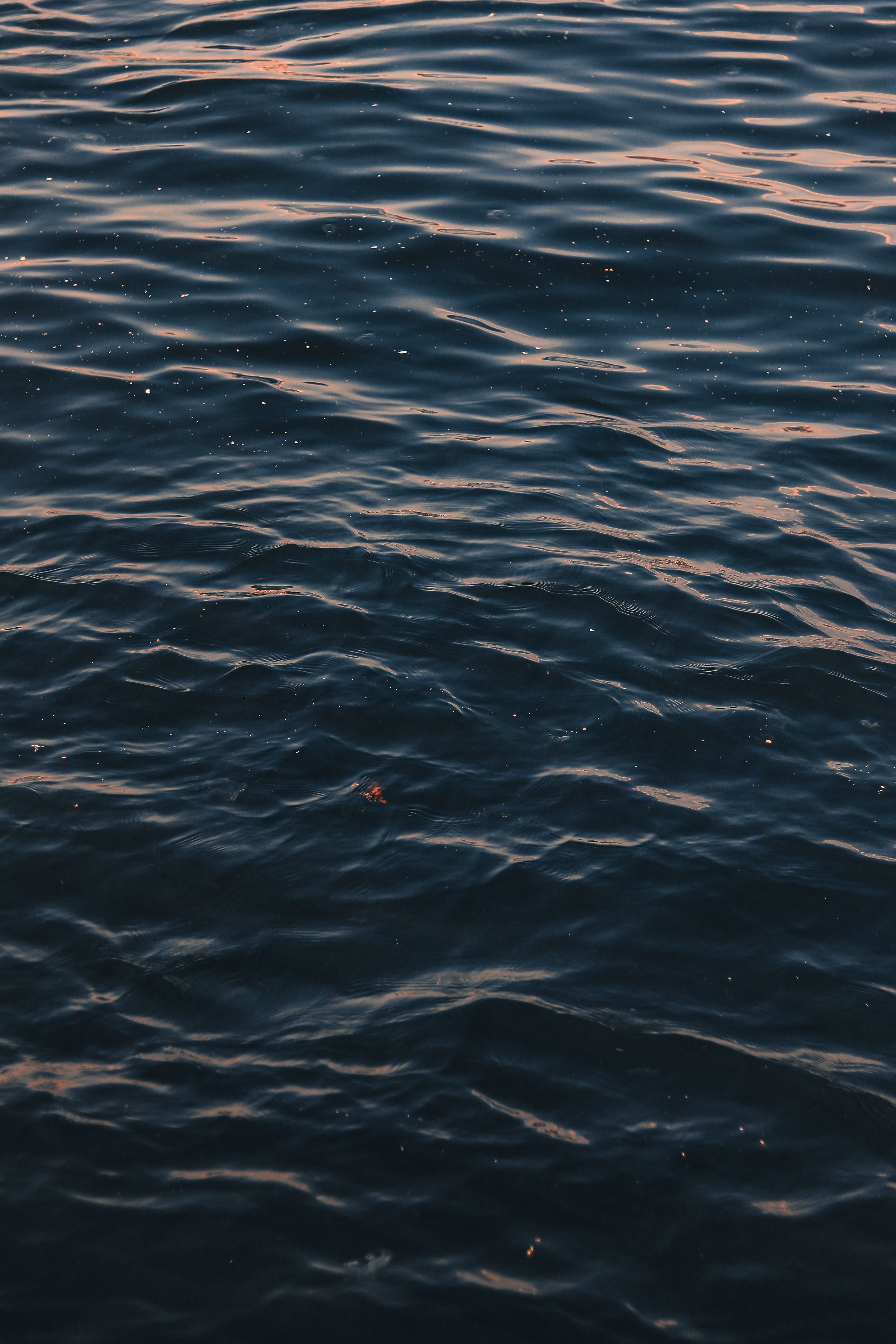 Close-Up Shot of the Ocean · Free Stock Photo