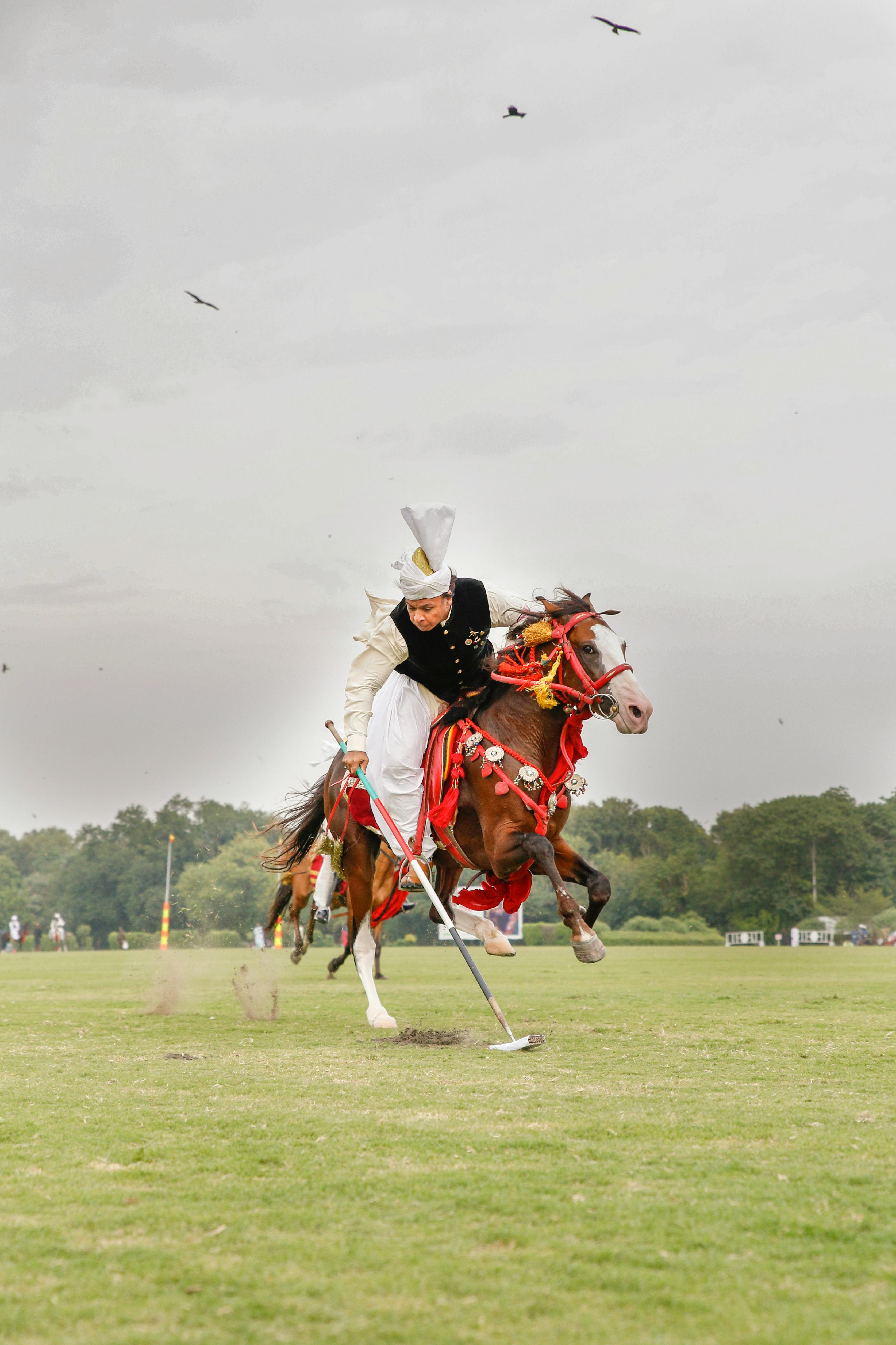 Polo Sports Photos, Download Free Polo Sports Stock Photos & HD Images