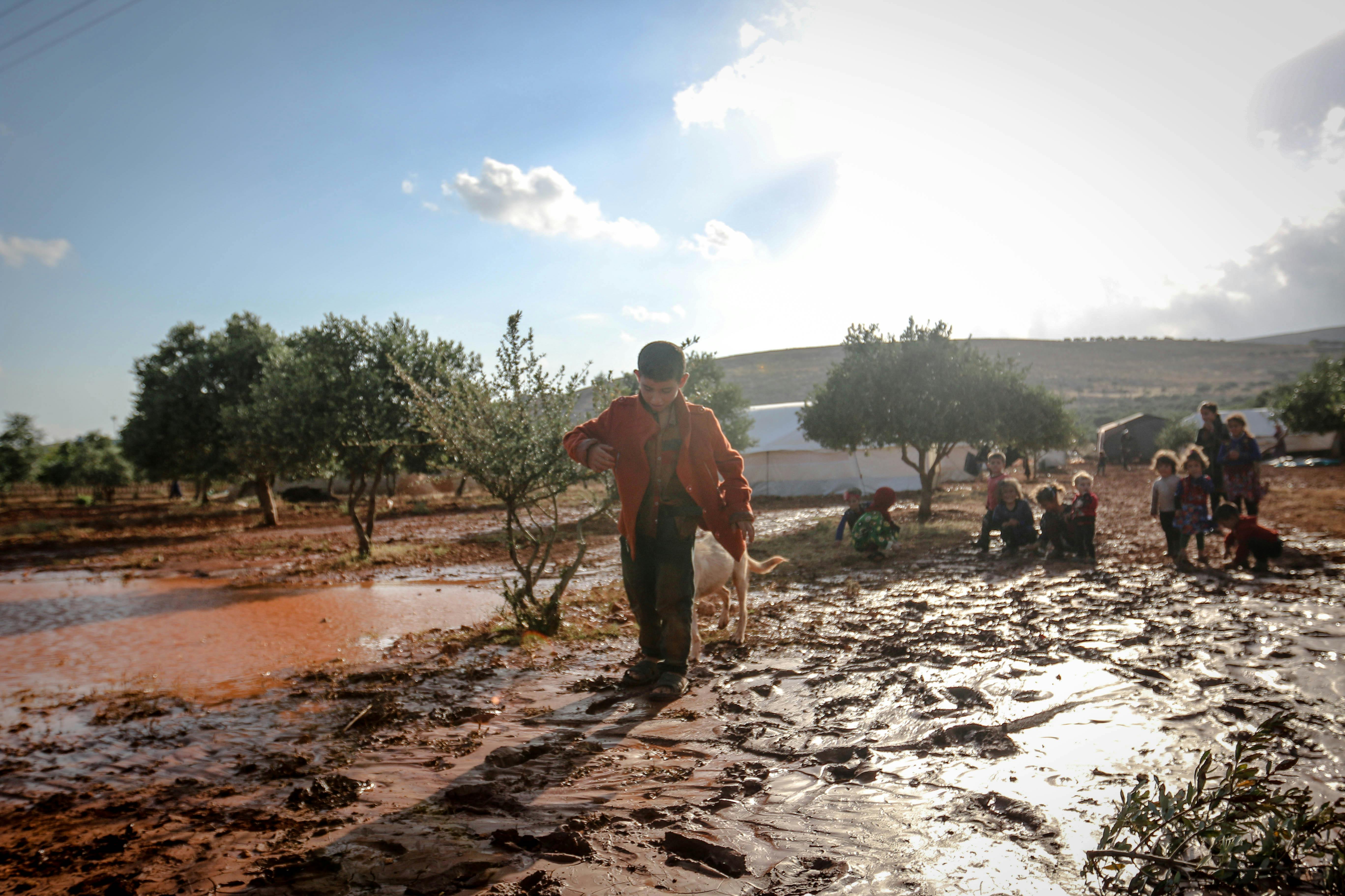Poverty Area Photos, Download The BEST Free Poverty Area Stock Photos ...