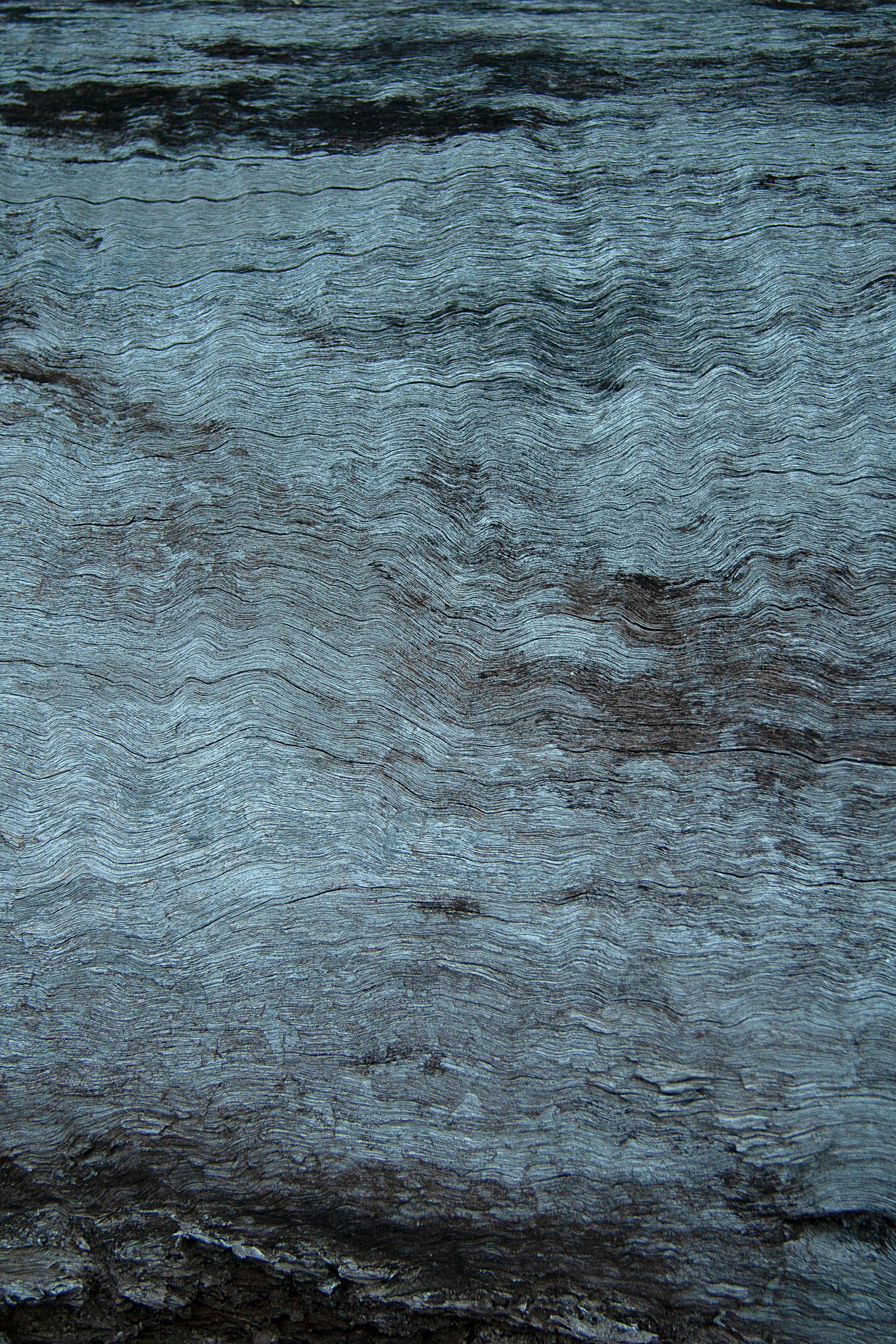 Fine Ridges on Wood · Free Stock Photo