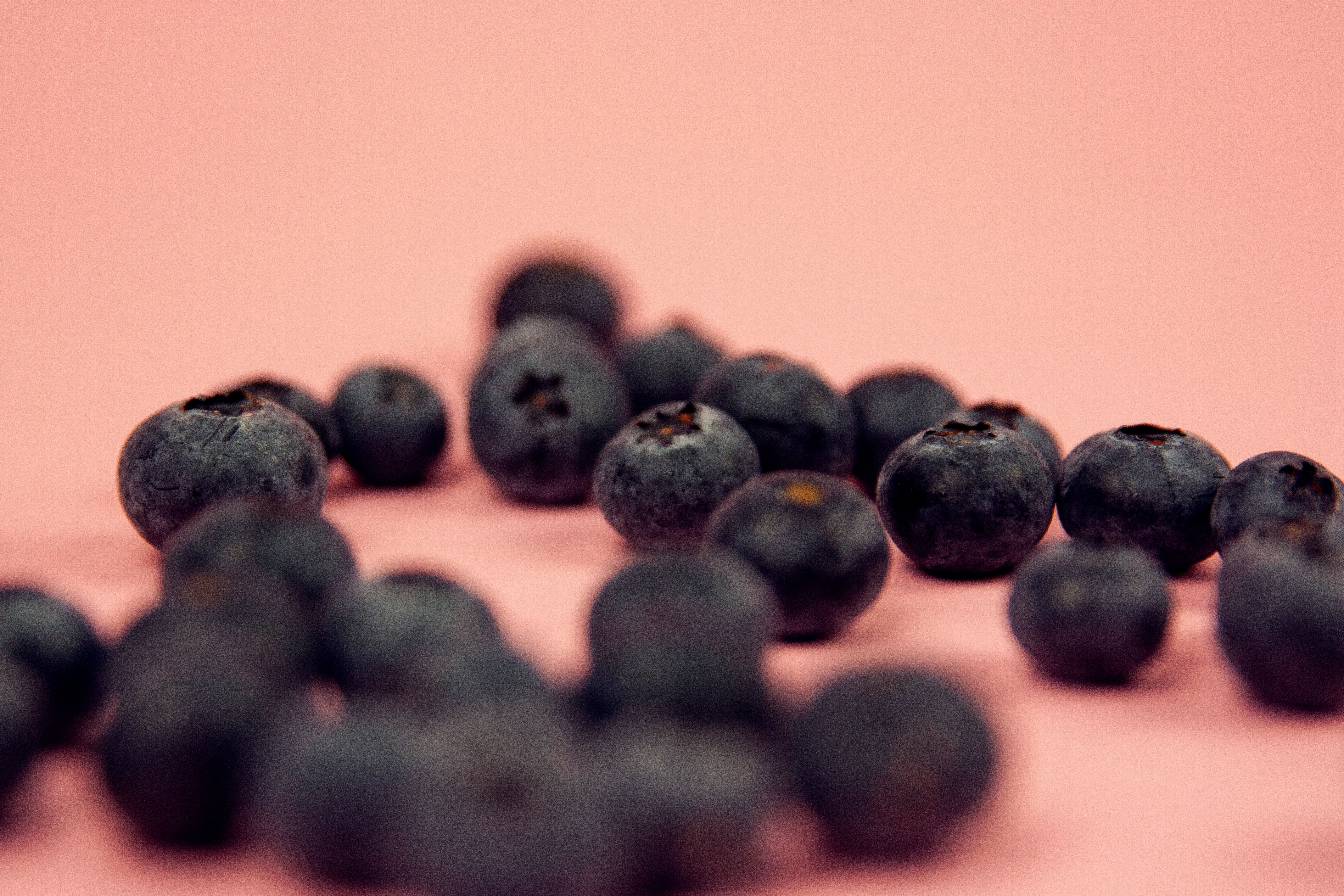 Berries Pink Background Photos, Download The BEST Free Berries Pink ...