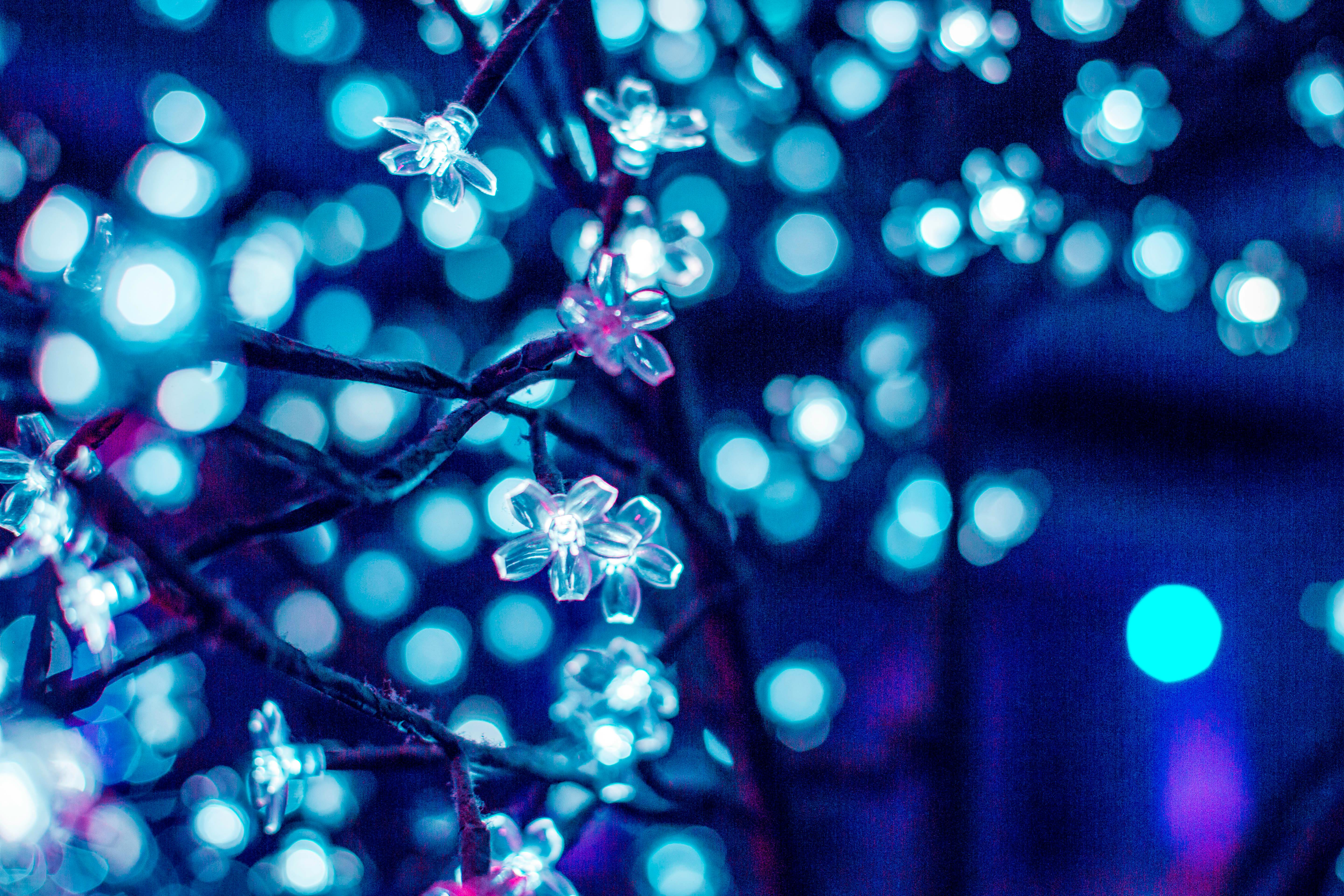 Free stock photo of blue lights, boken, lights