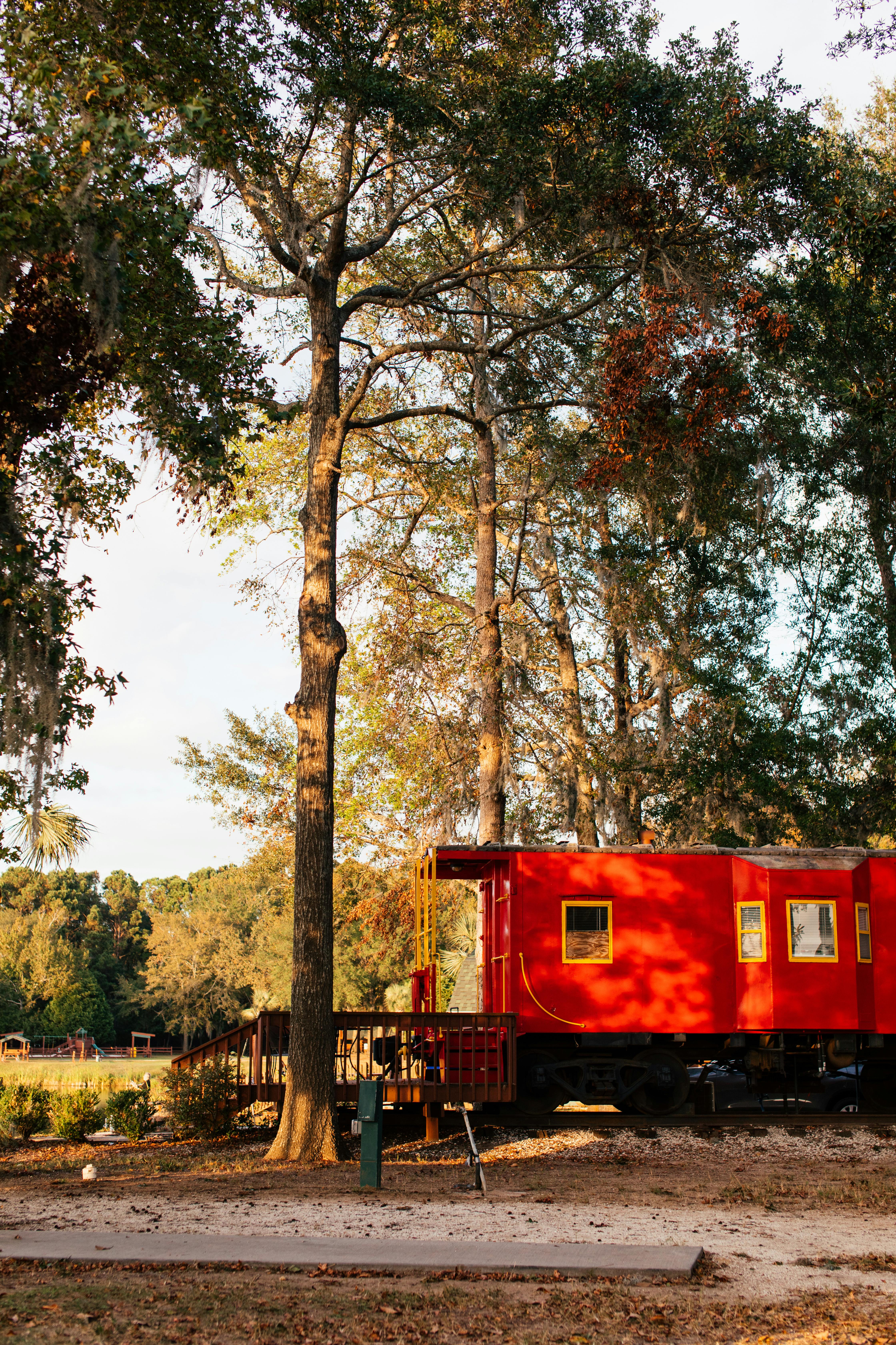 Red Train Near Green Trees · Free Stock Photo