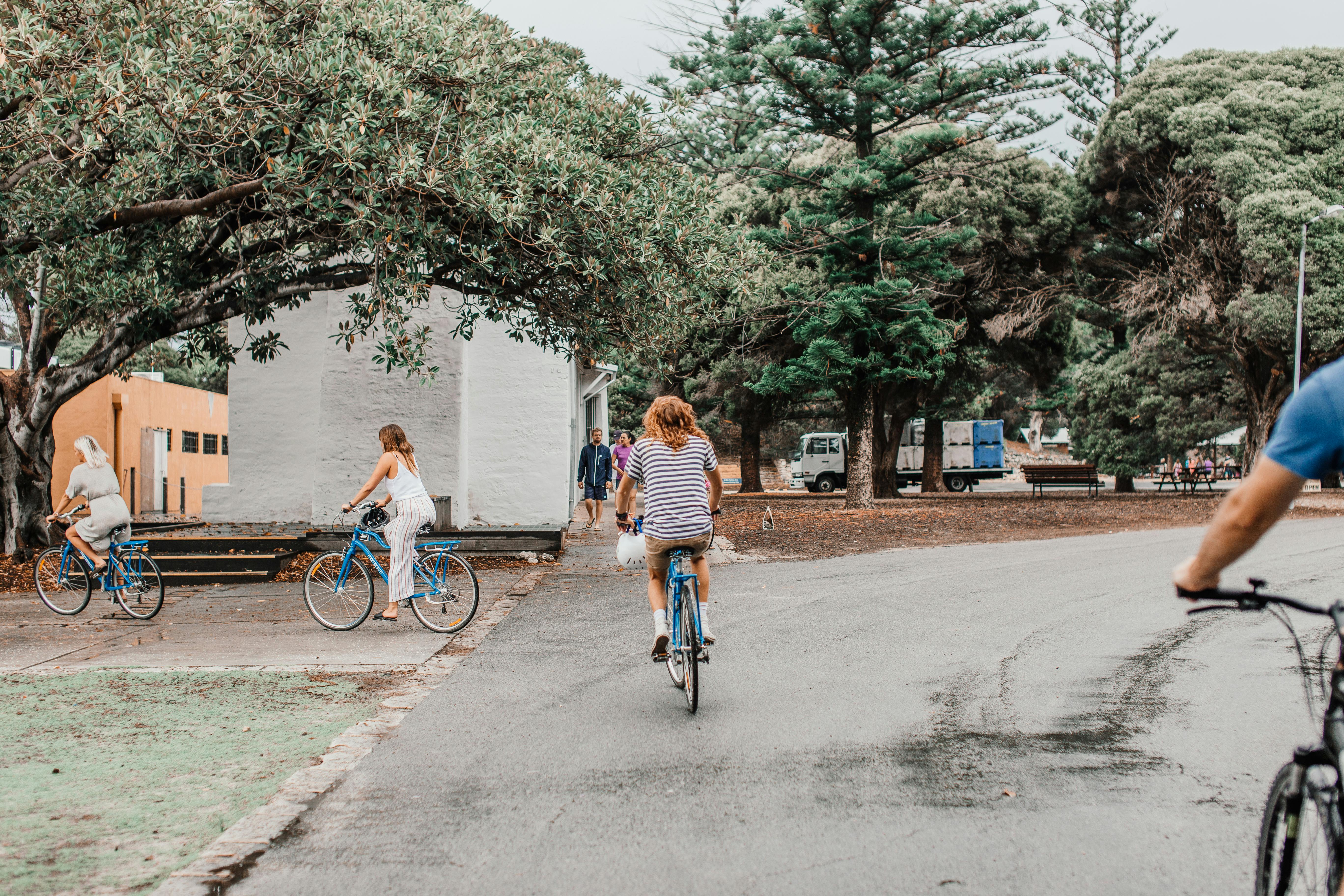 People Biking on a Park · Free Stock Photo