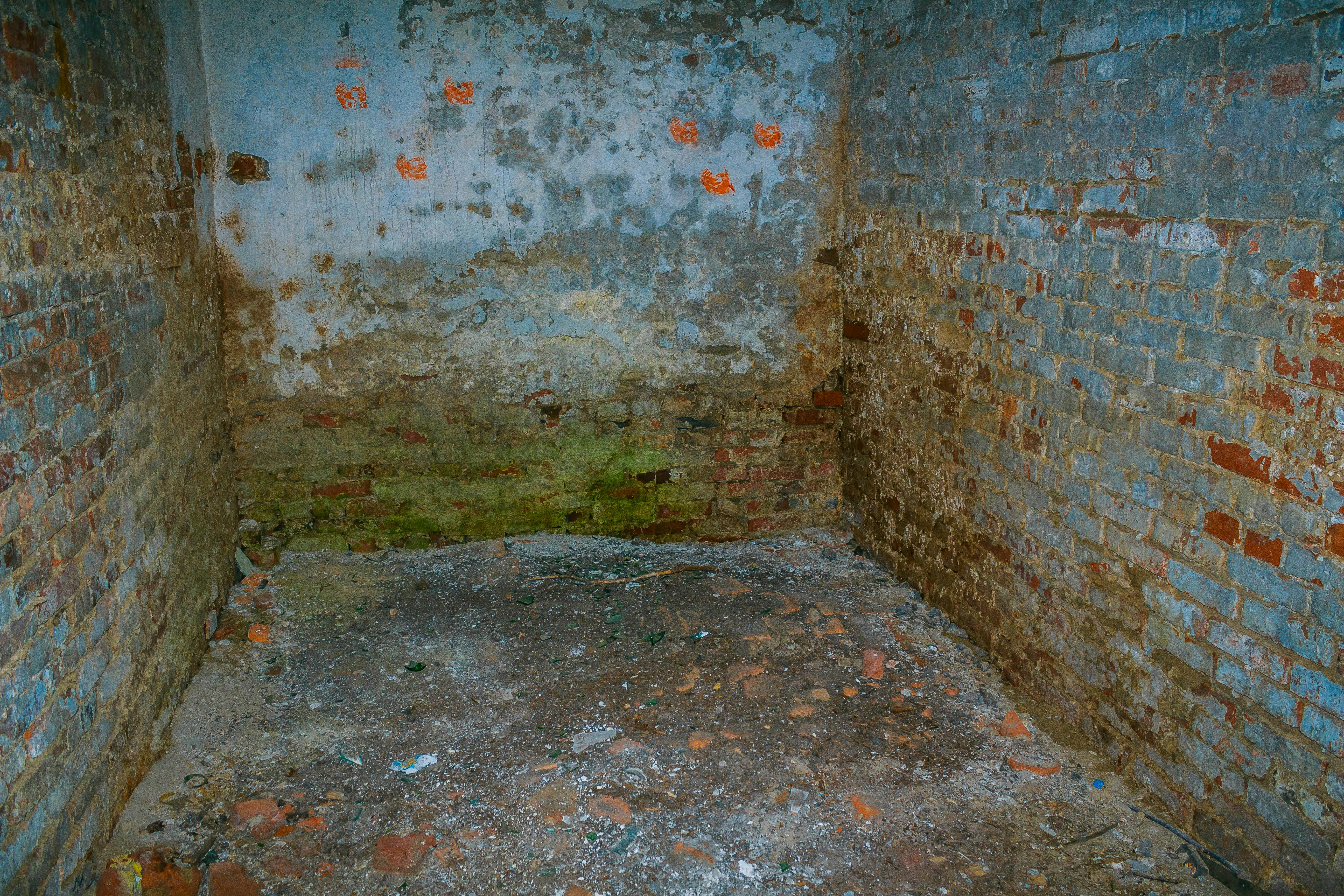 Free stock photo of brick, cellar, prison