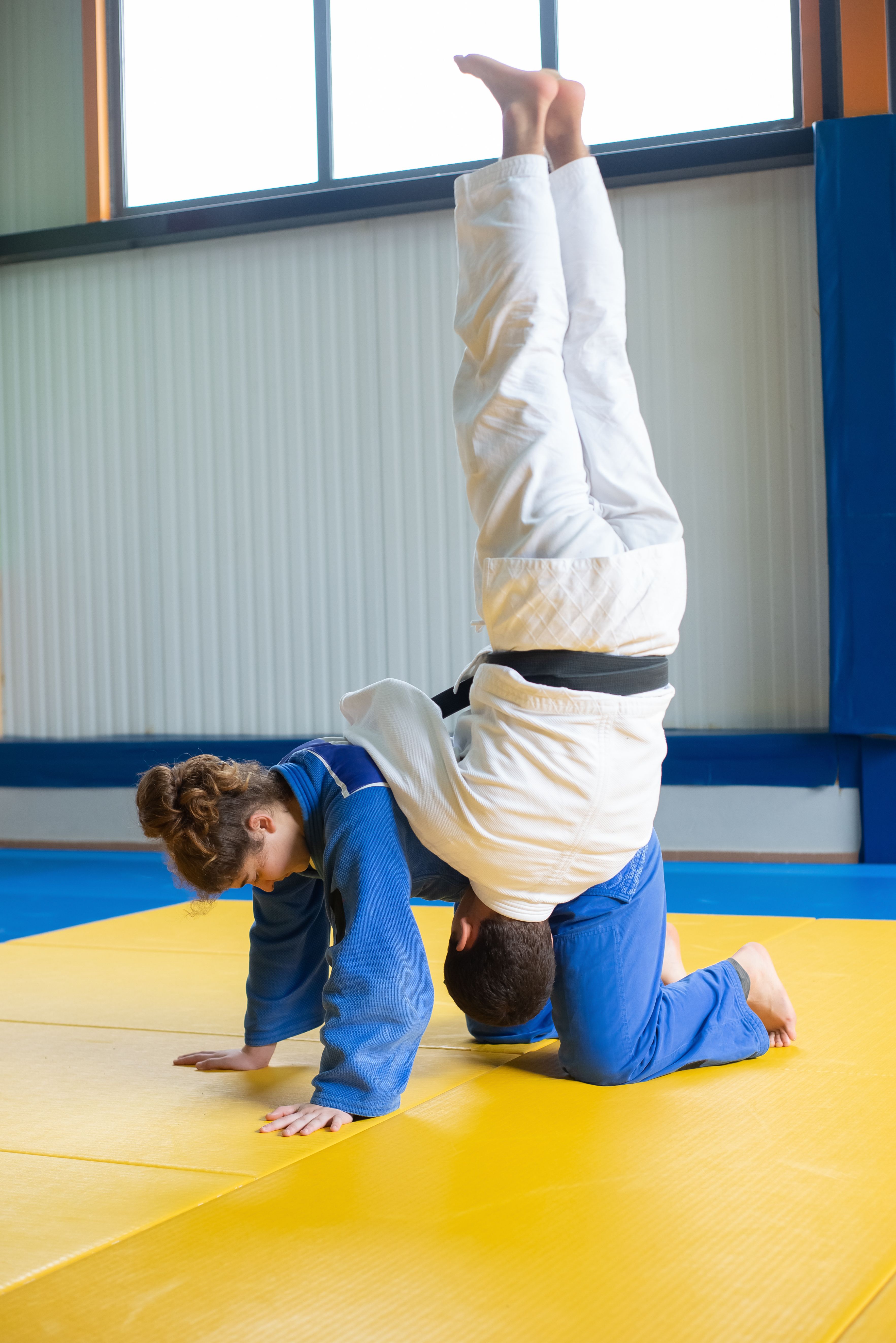 Judo Photos, Download The BEST Free Judo Stock Photos & HD Images