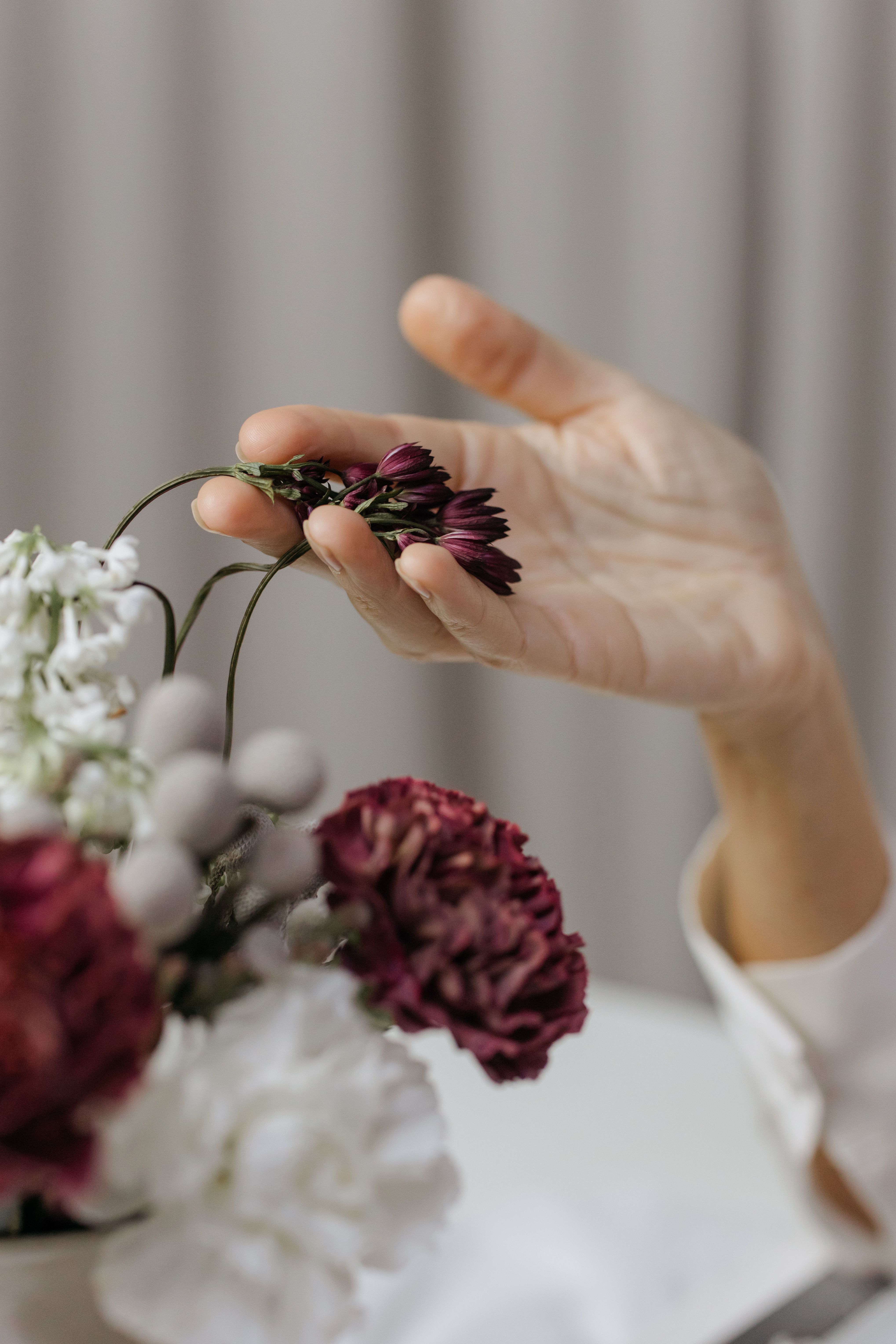 Woman Touching Flower · Free Stock Photo