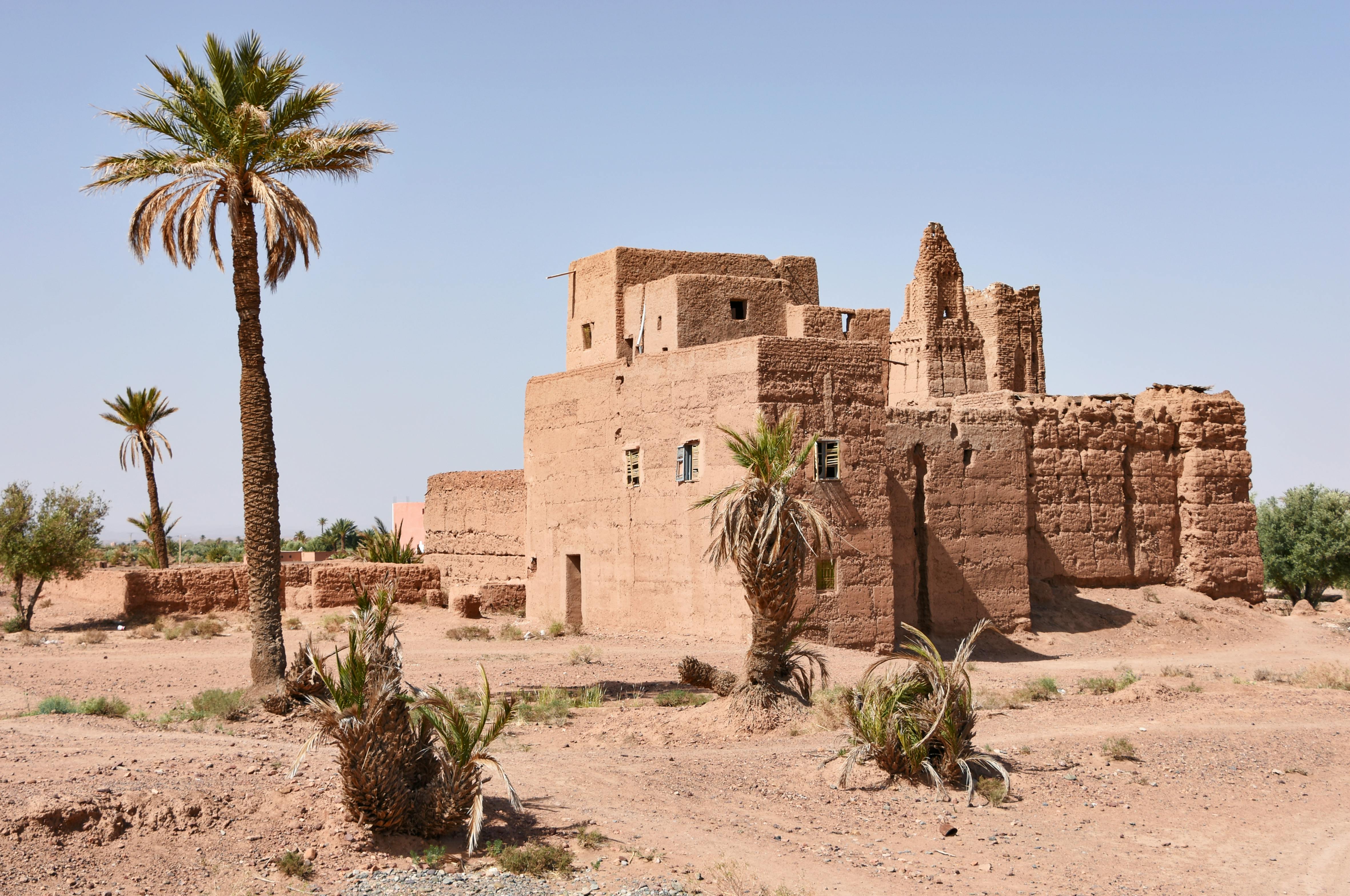 Siwa Oasis Photos, Download The BEST Free Siwa Oasis Stock Photos & HD ...