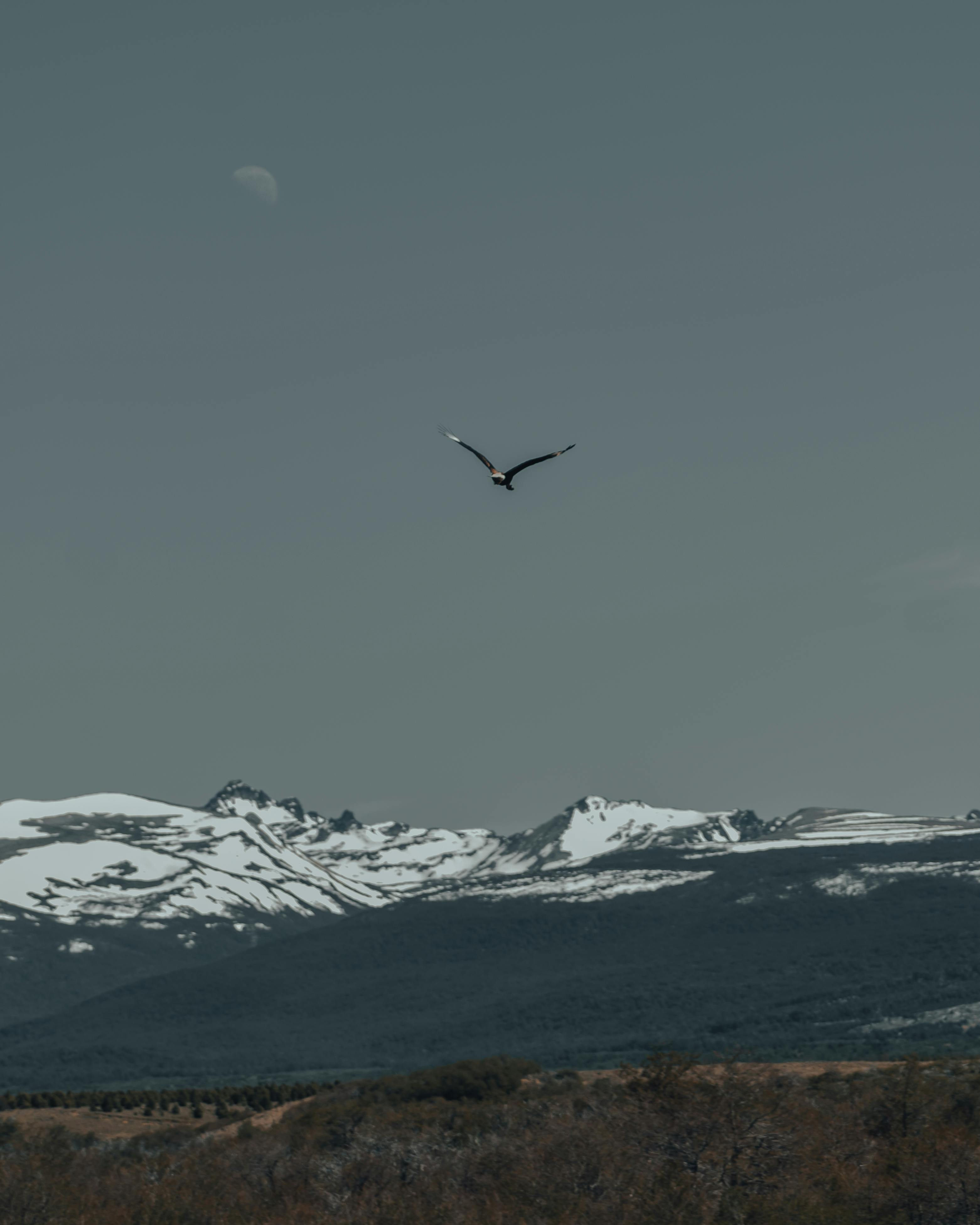 Jamaica Photos, Download The BEST Free Jamaica Stock Photos & HD Images