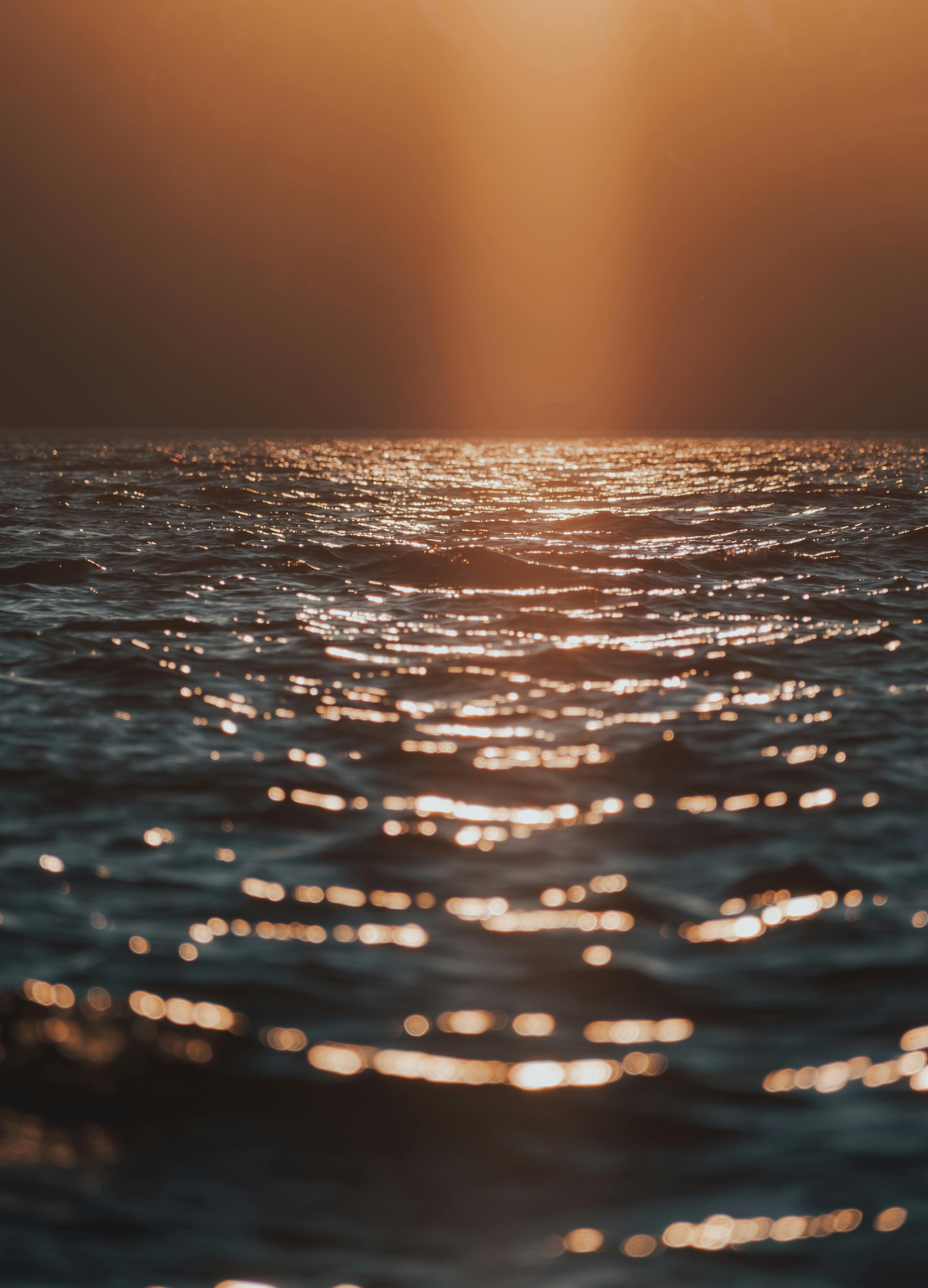 75+ Best Free In Stock Photos & Images · 100% Royalty-Free HD Downloads