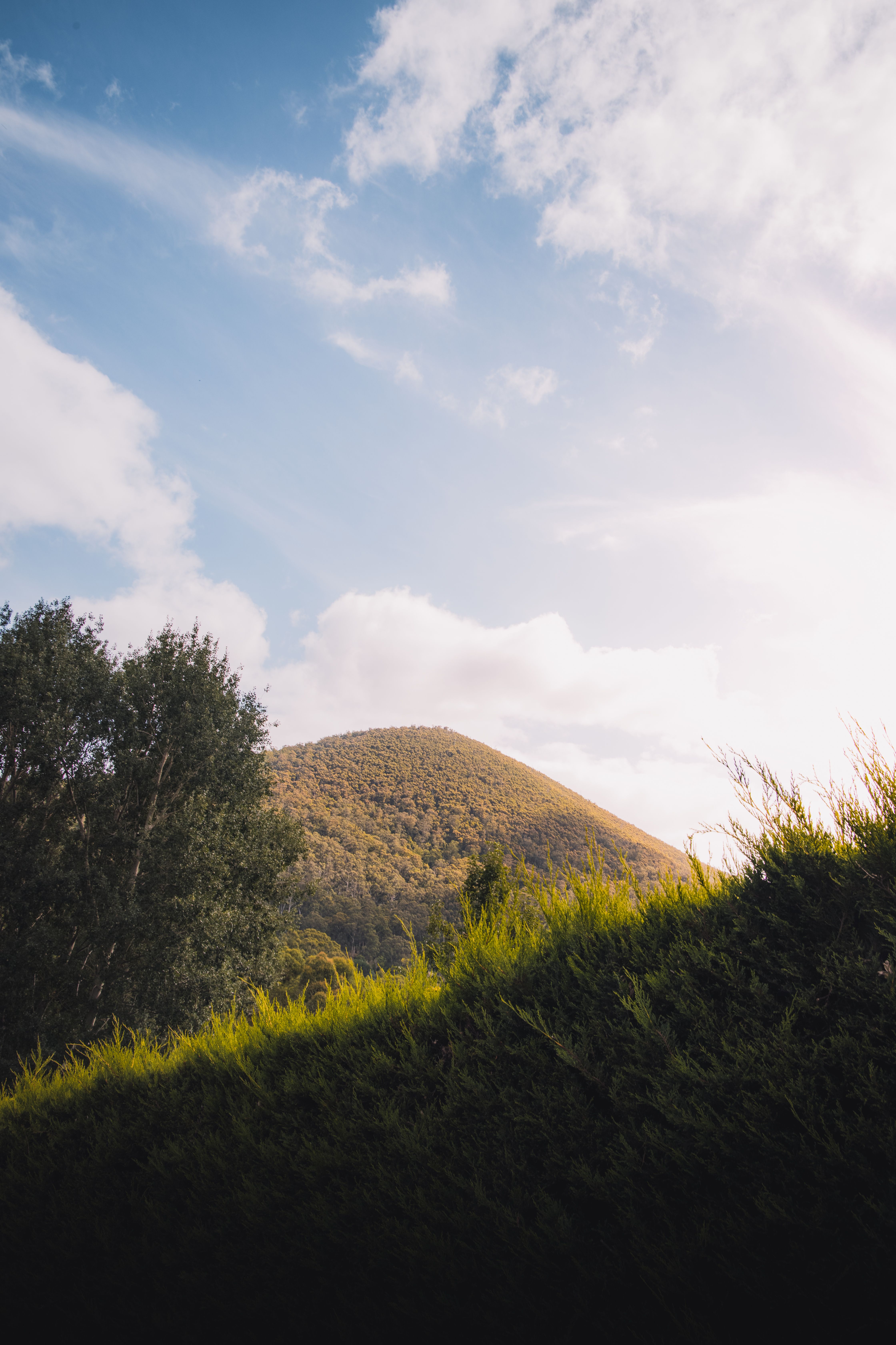 3,000+ Best Gods Photos · 100% Free Download · Pexels Stock Photos