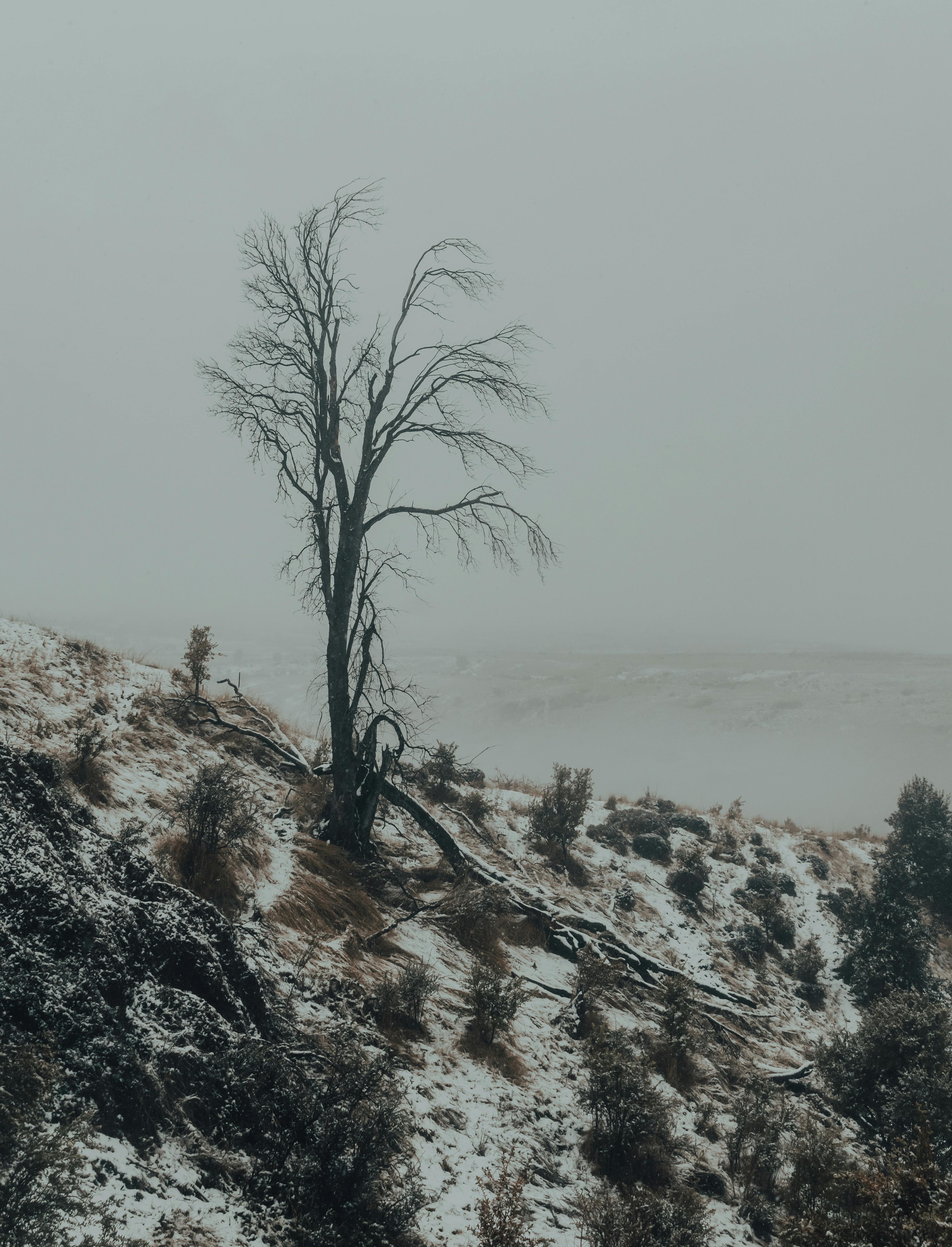 In Photos, Download The BEST Free In Stock Photos & HD Images