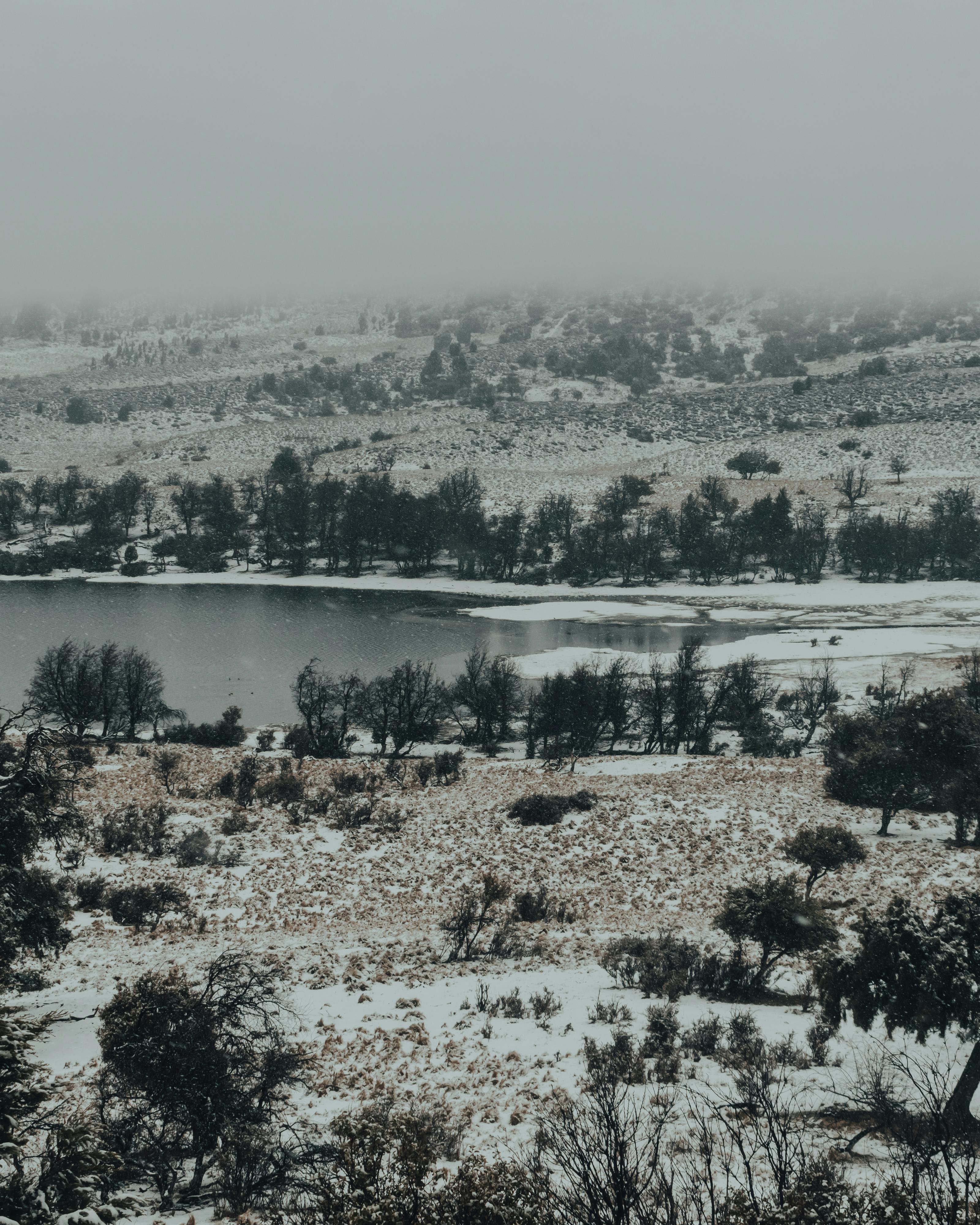 In Photos, Download The BEST Free In Stock Photos & HD Images