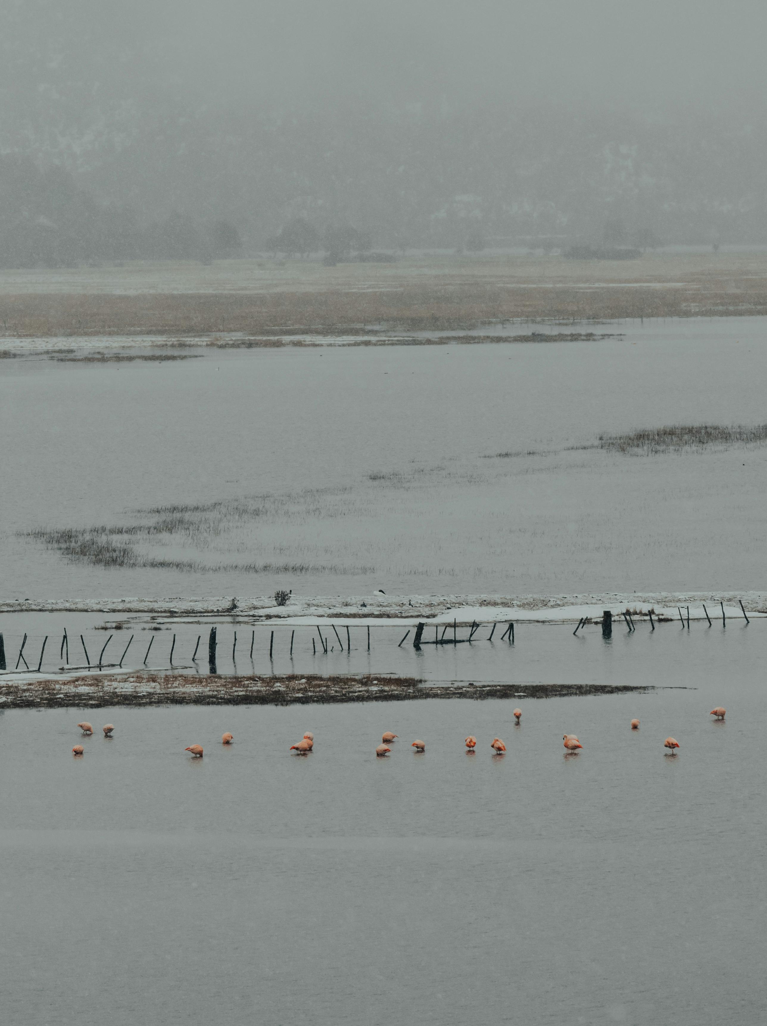 In Photos, Download The BEST Free In Stock Photos & HD Images