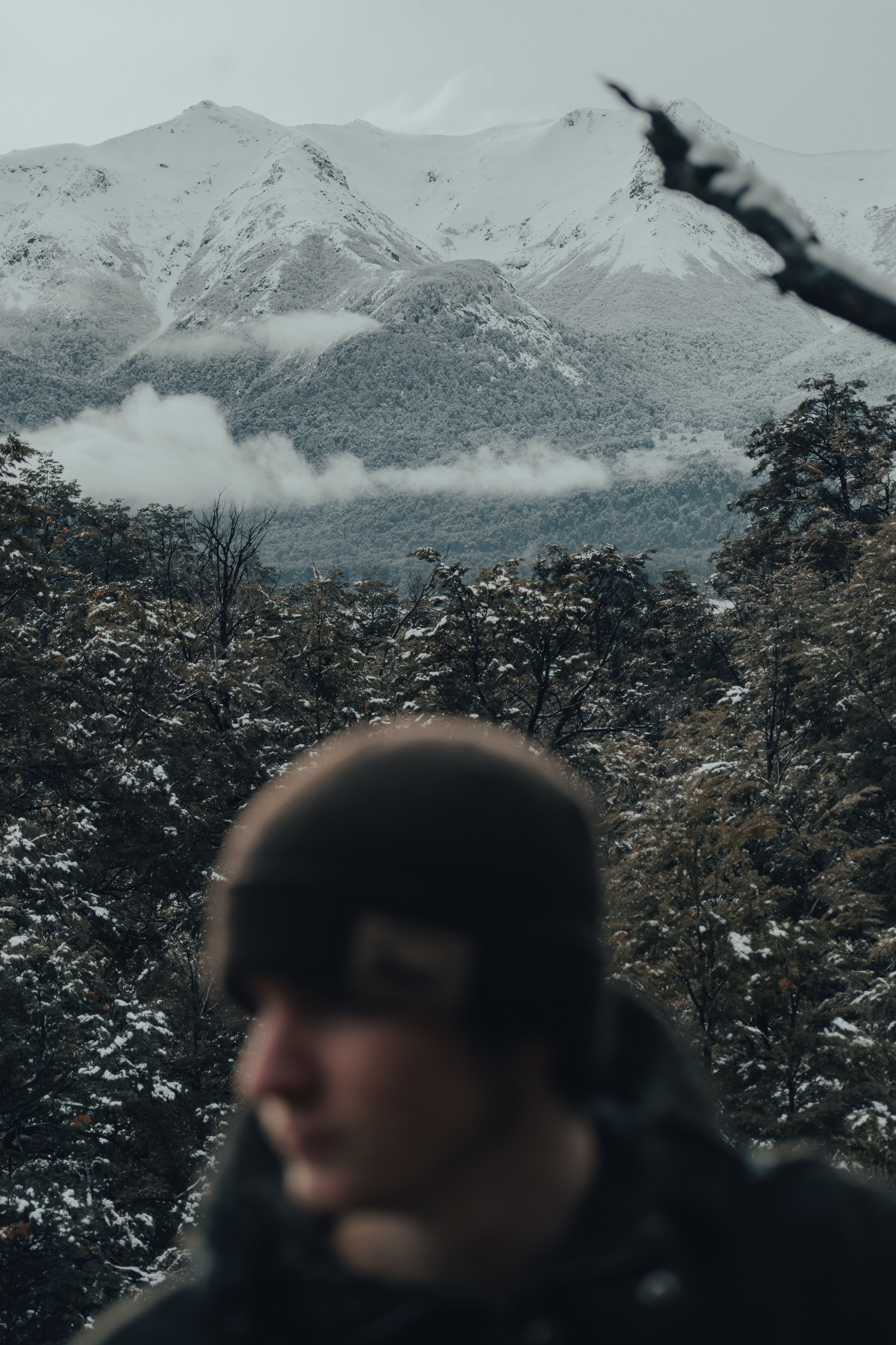 In Photos, Download The BEST Free In Stock Photos & HD Images