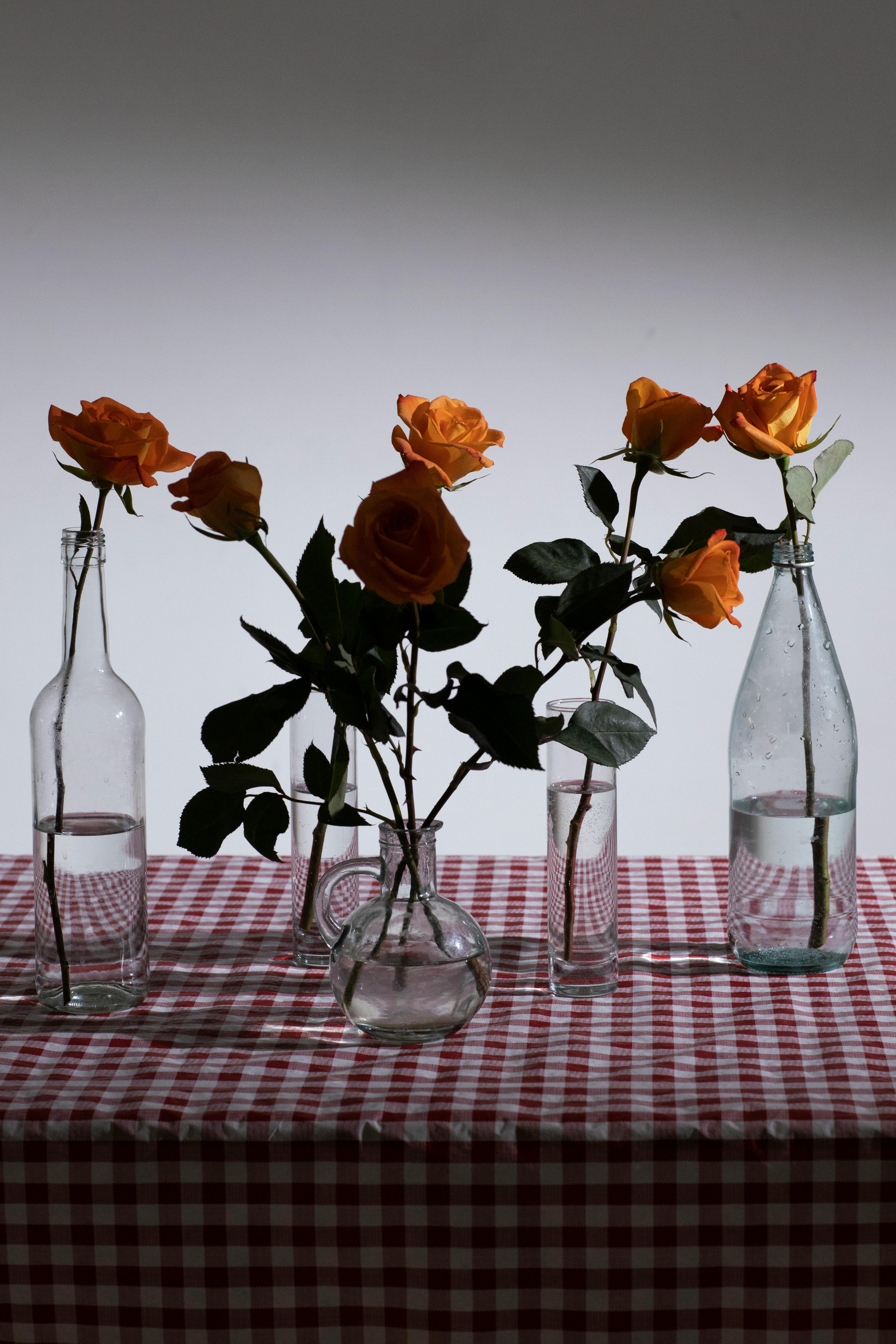 Orange Roses in Clear Glass Bottles · Free Stock Photo