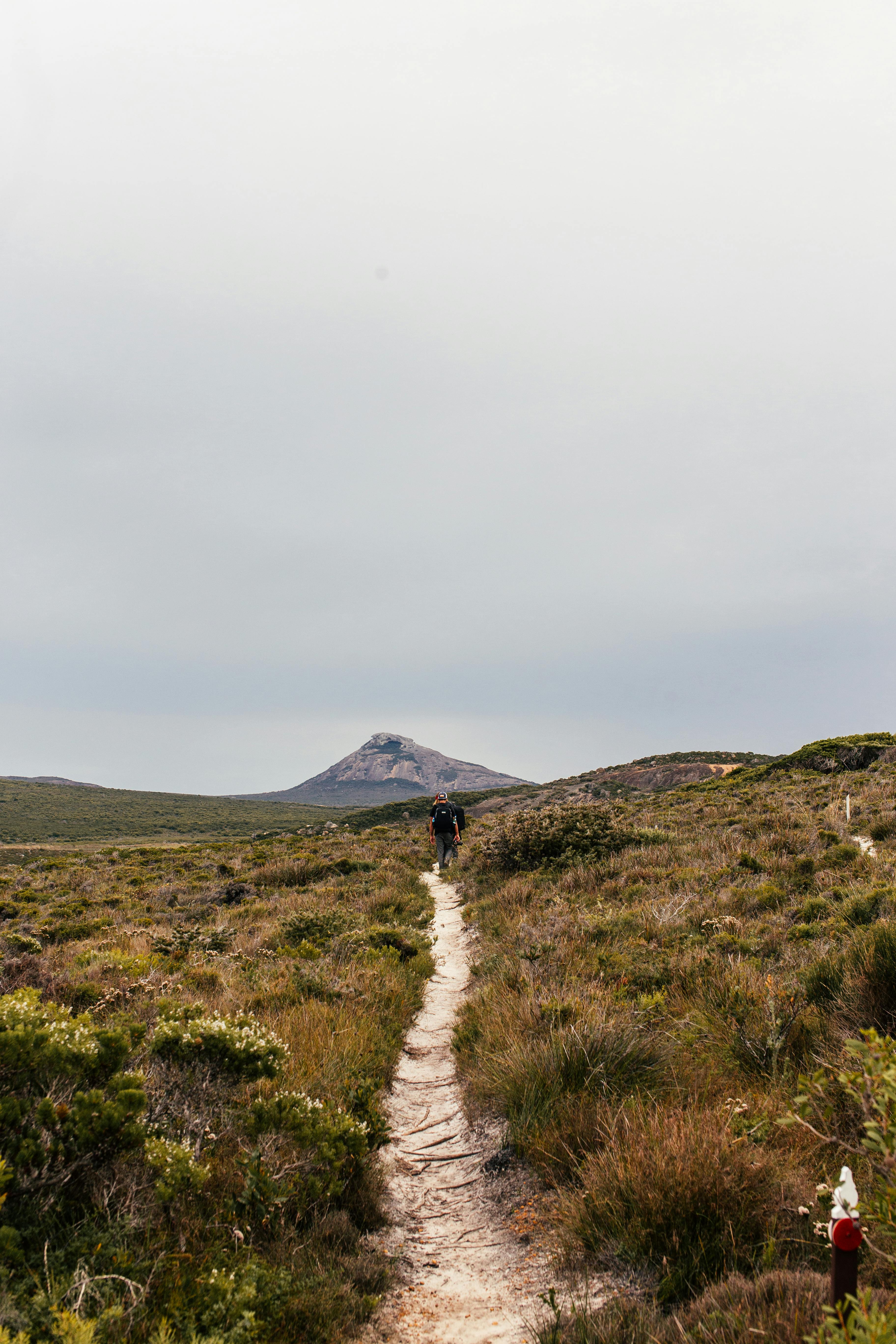 Narrow Trail on the Mountain · Free Stock Photo