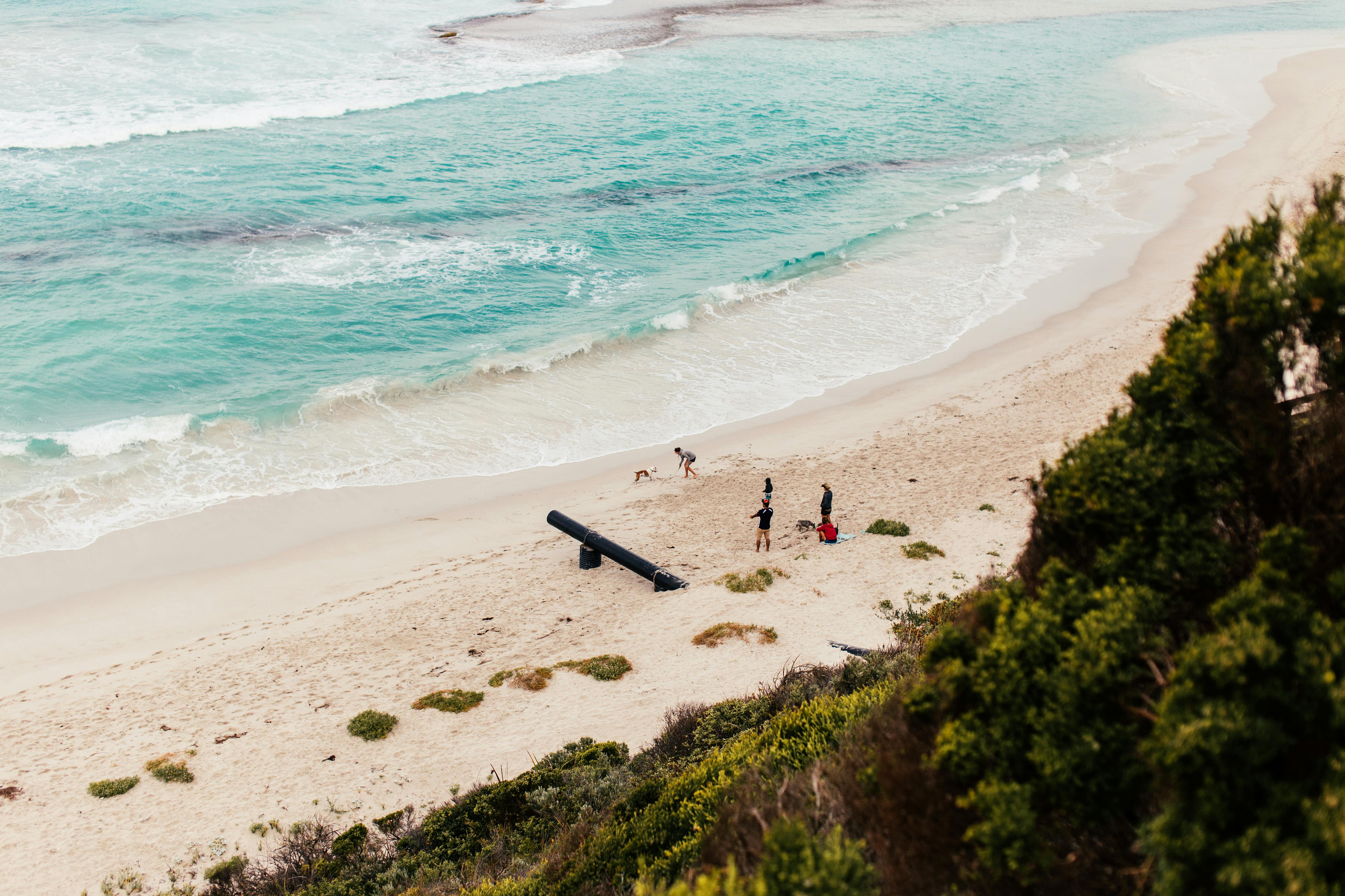 Aerial View of People on the Beach · Free Stock Photo