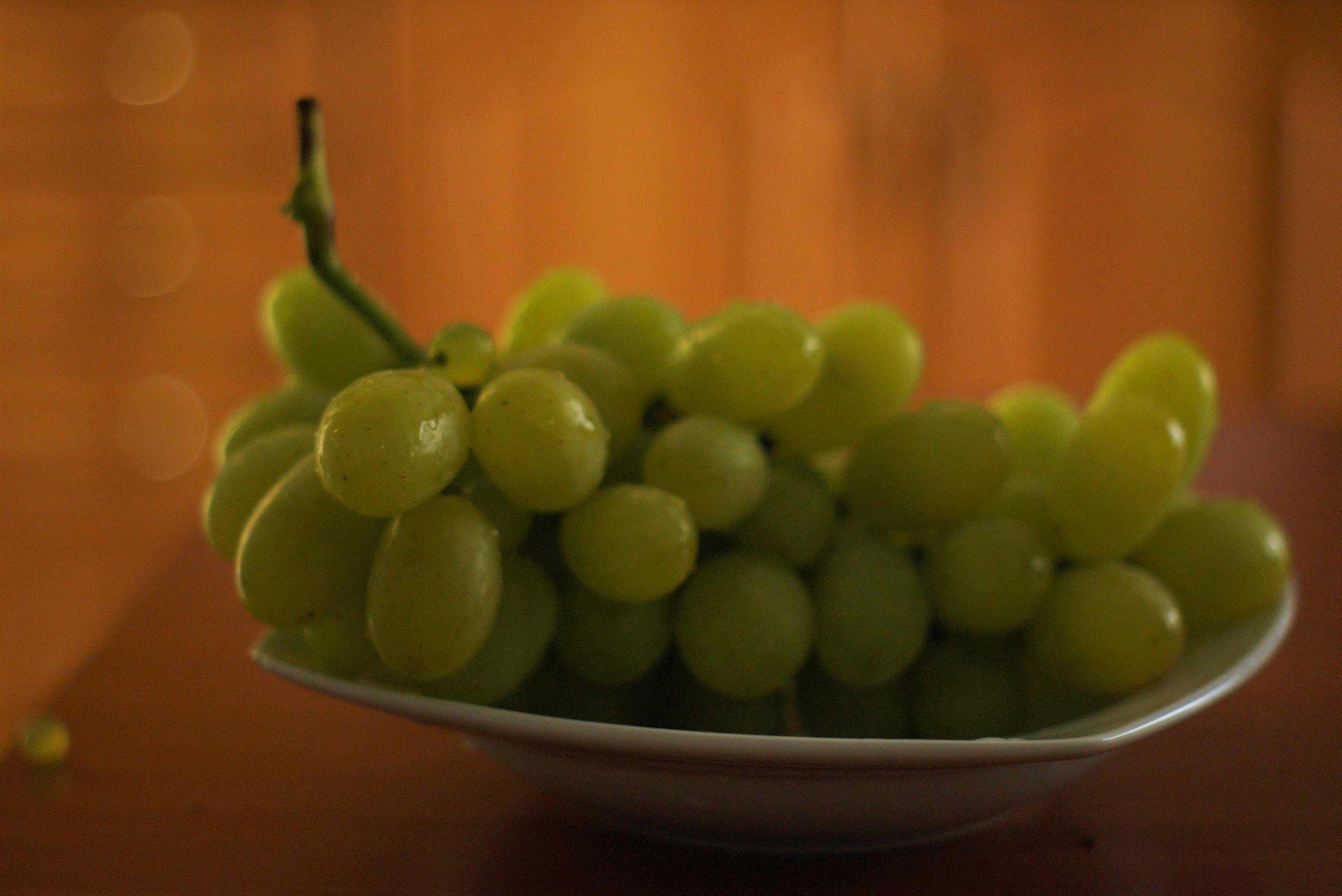Free stock photo of grape, strugure, white grape