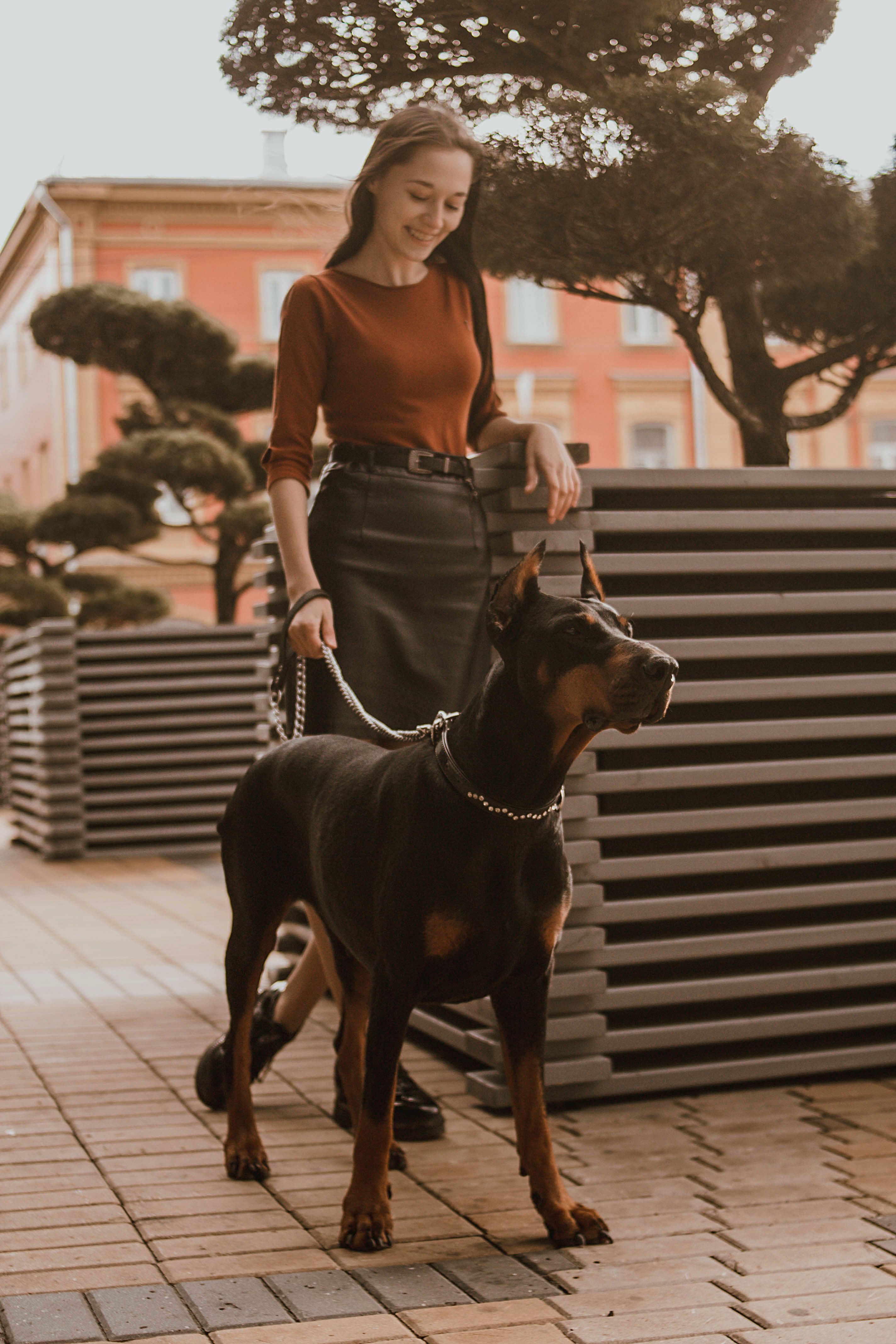 A Woman Walking Her Dog · Free Stock Photo
