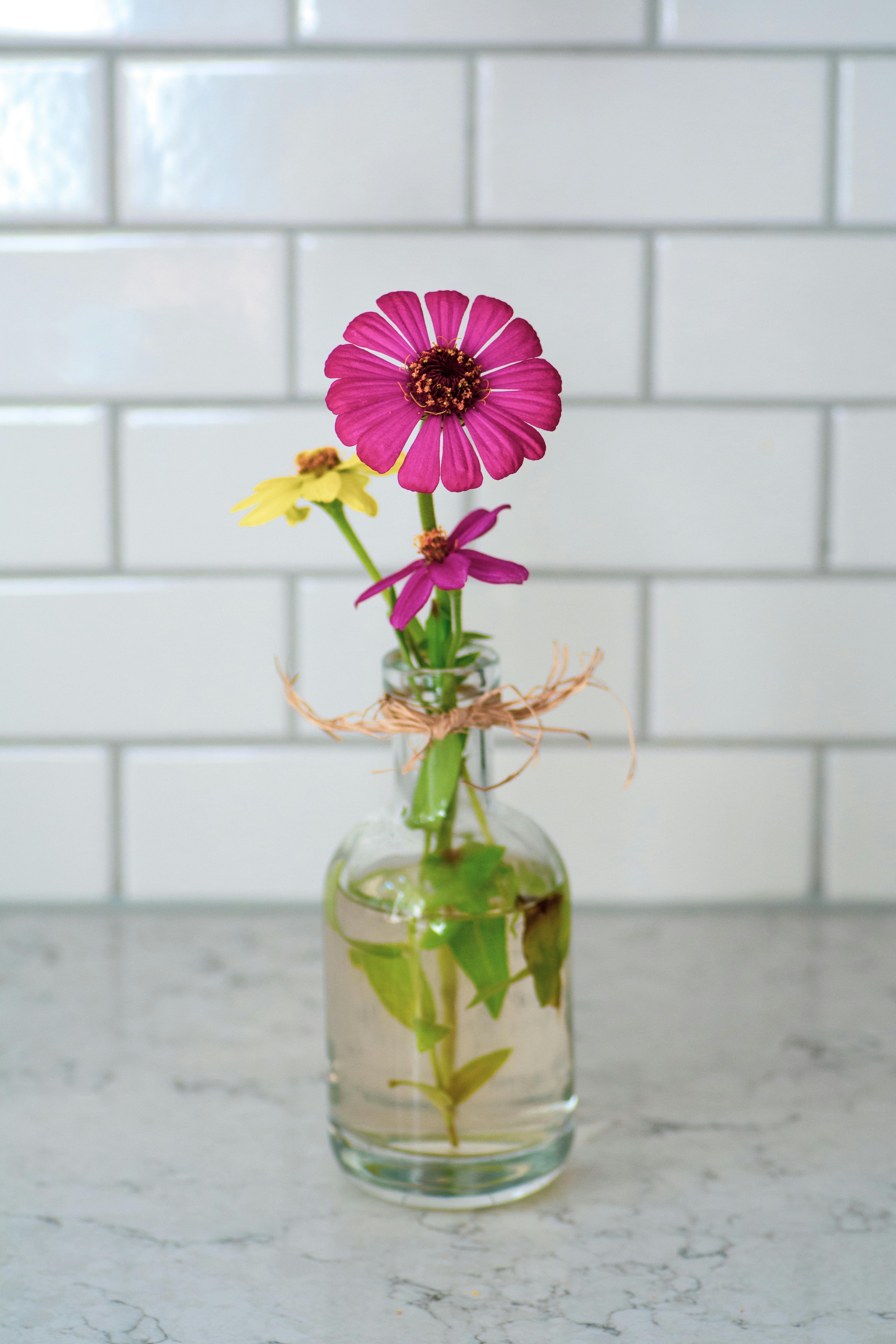 Sunflower in Clear Glass Vase With Water · Free Stock Photo