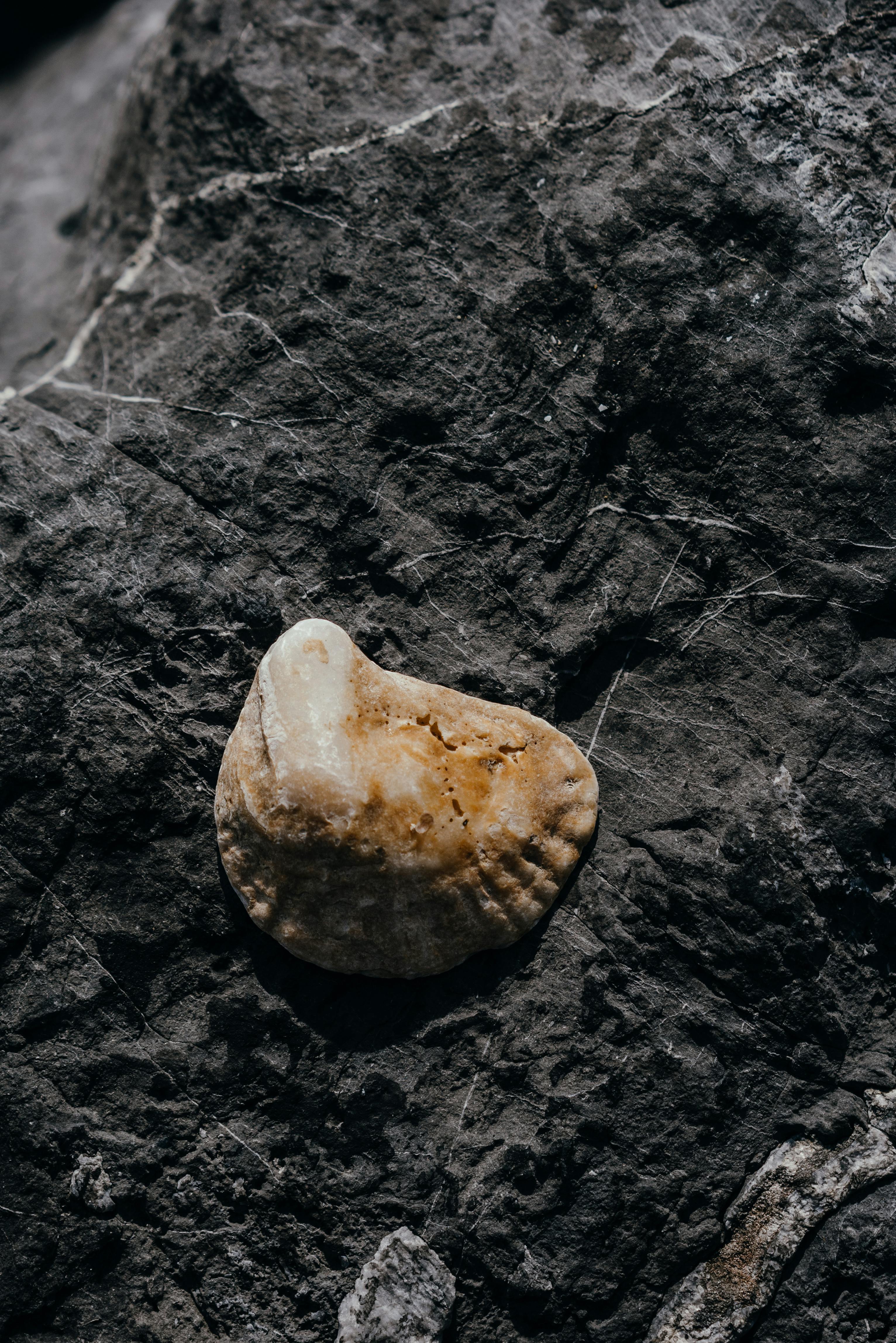 Close-Up Shot of a Rock · Free Stock Photo
