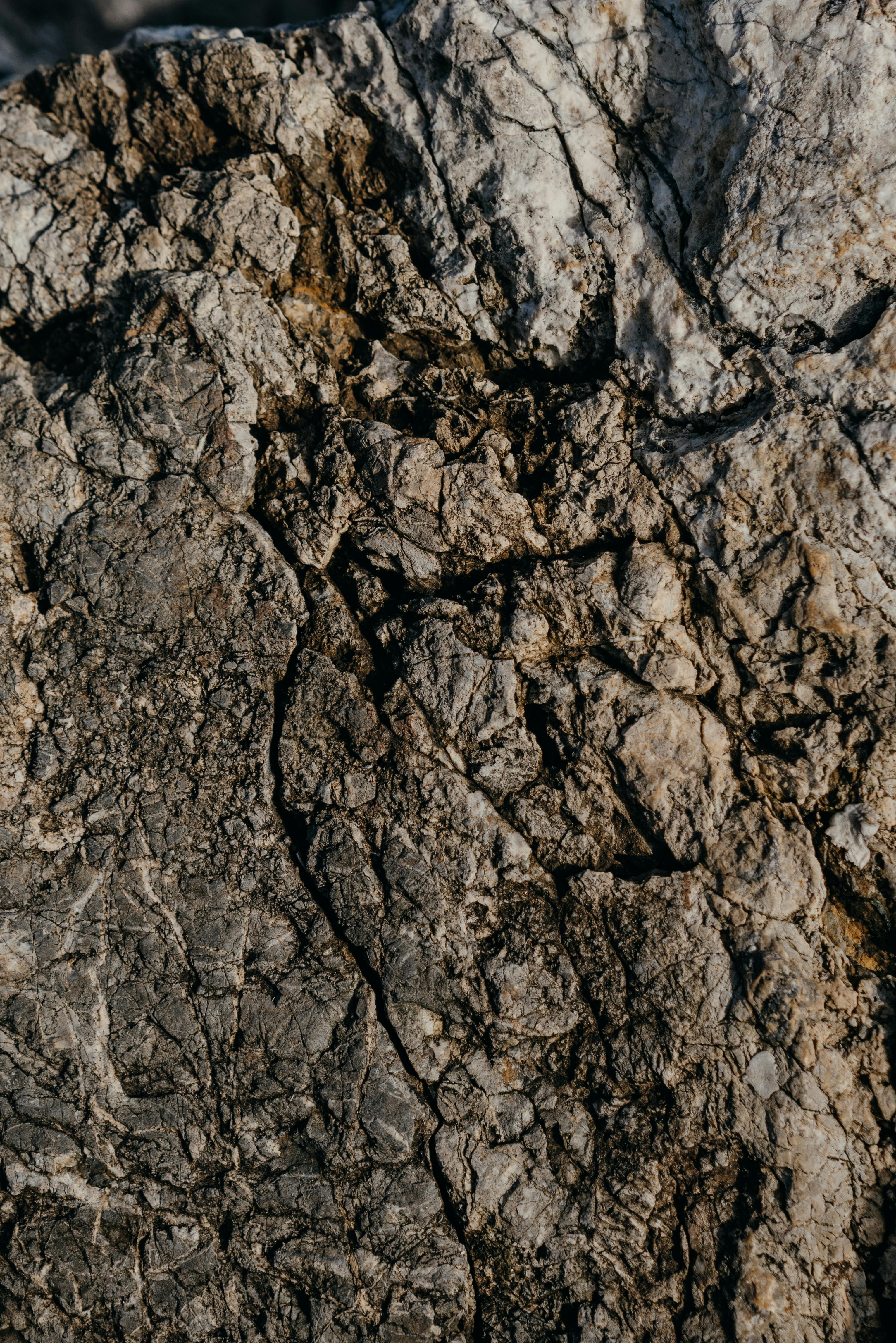 Close-Up Shot of a Rock · Free Stock Photo