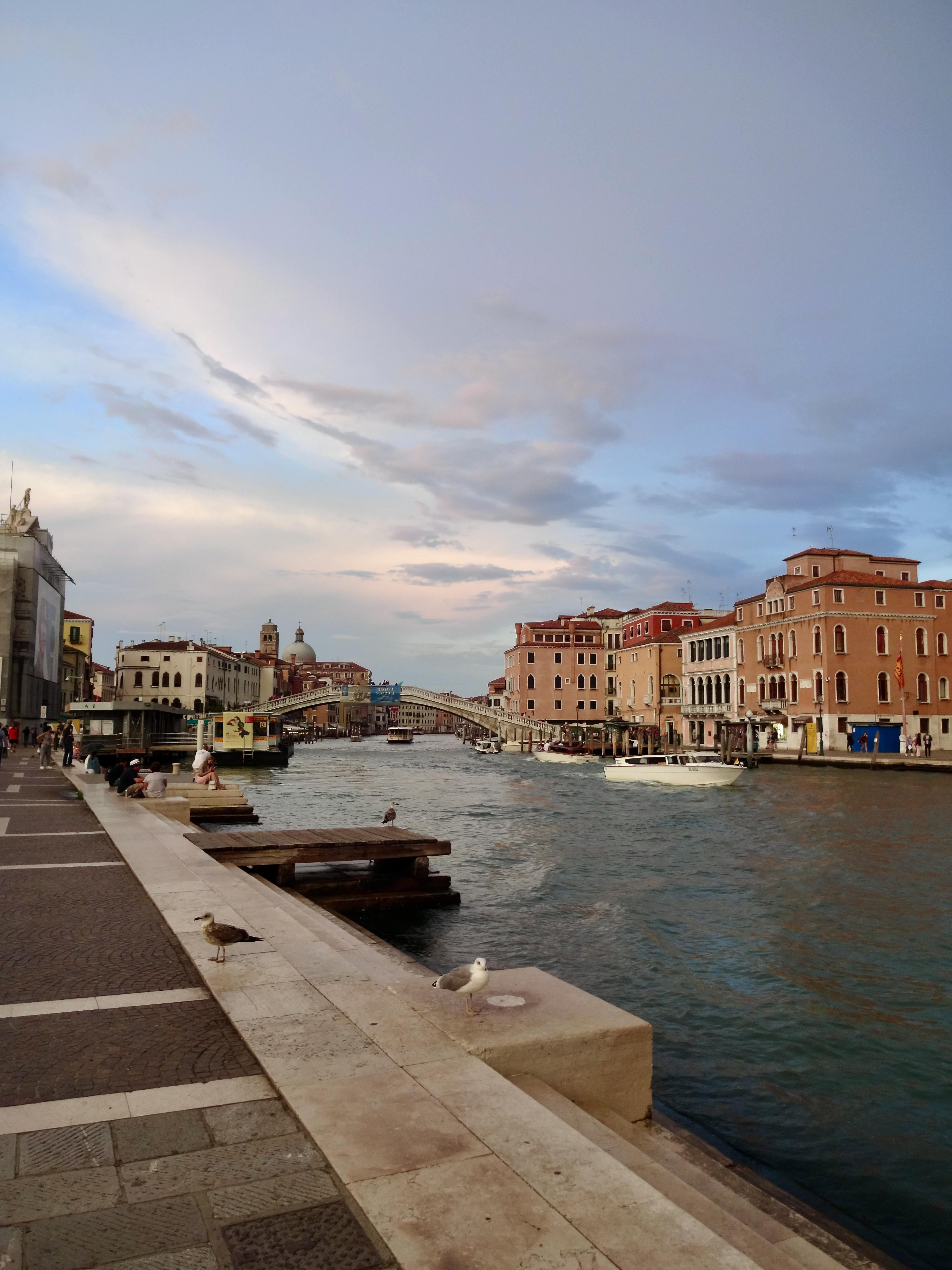 A River between Buildings · Free Stock Photo