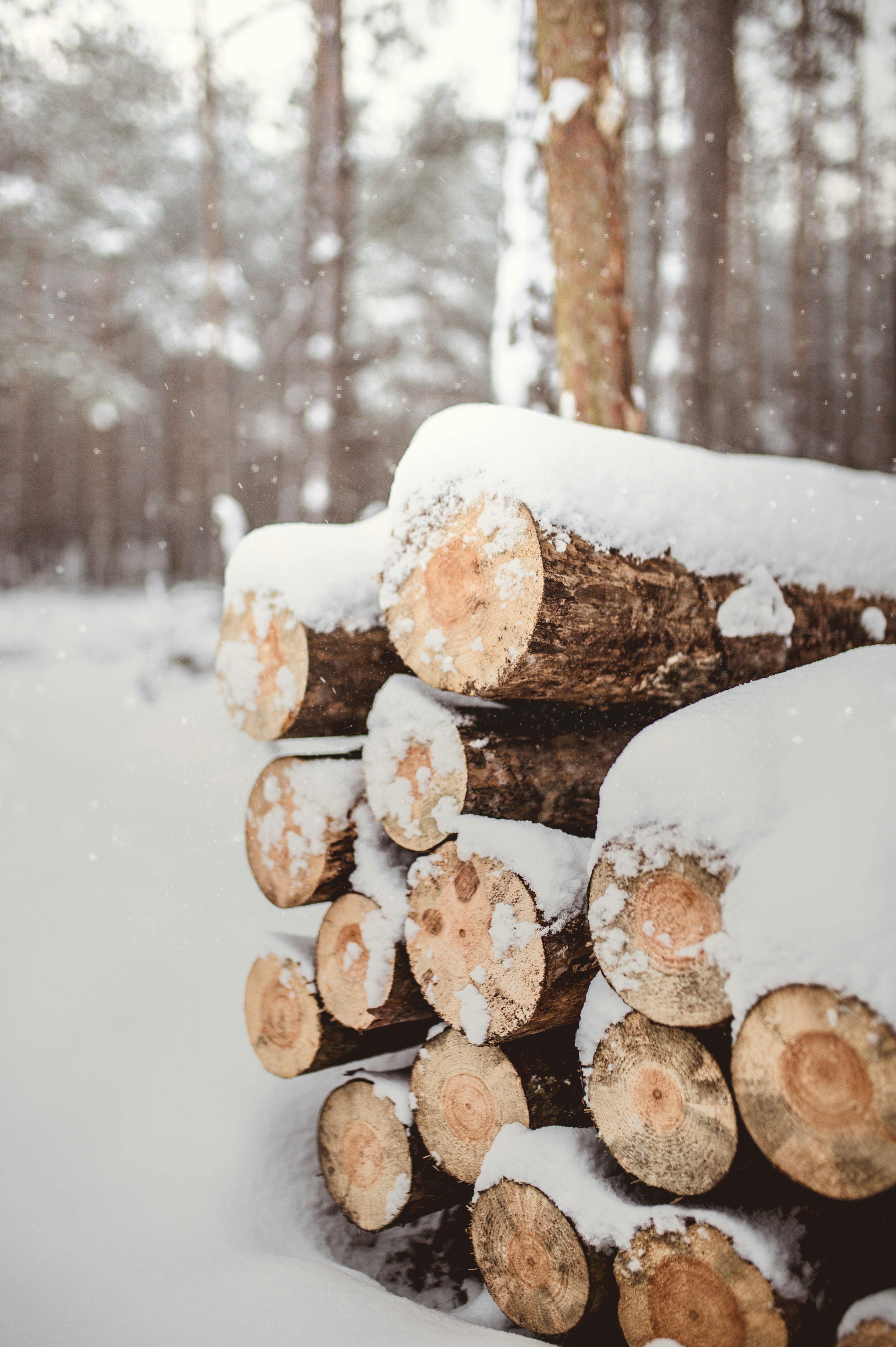 Snow Pile Photos, Download The BEST Free Snow Pile Stock Photos & HD Images