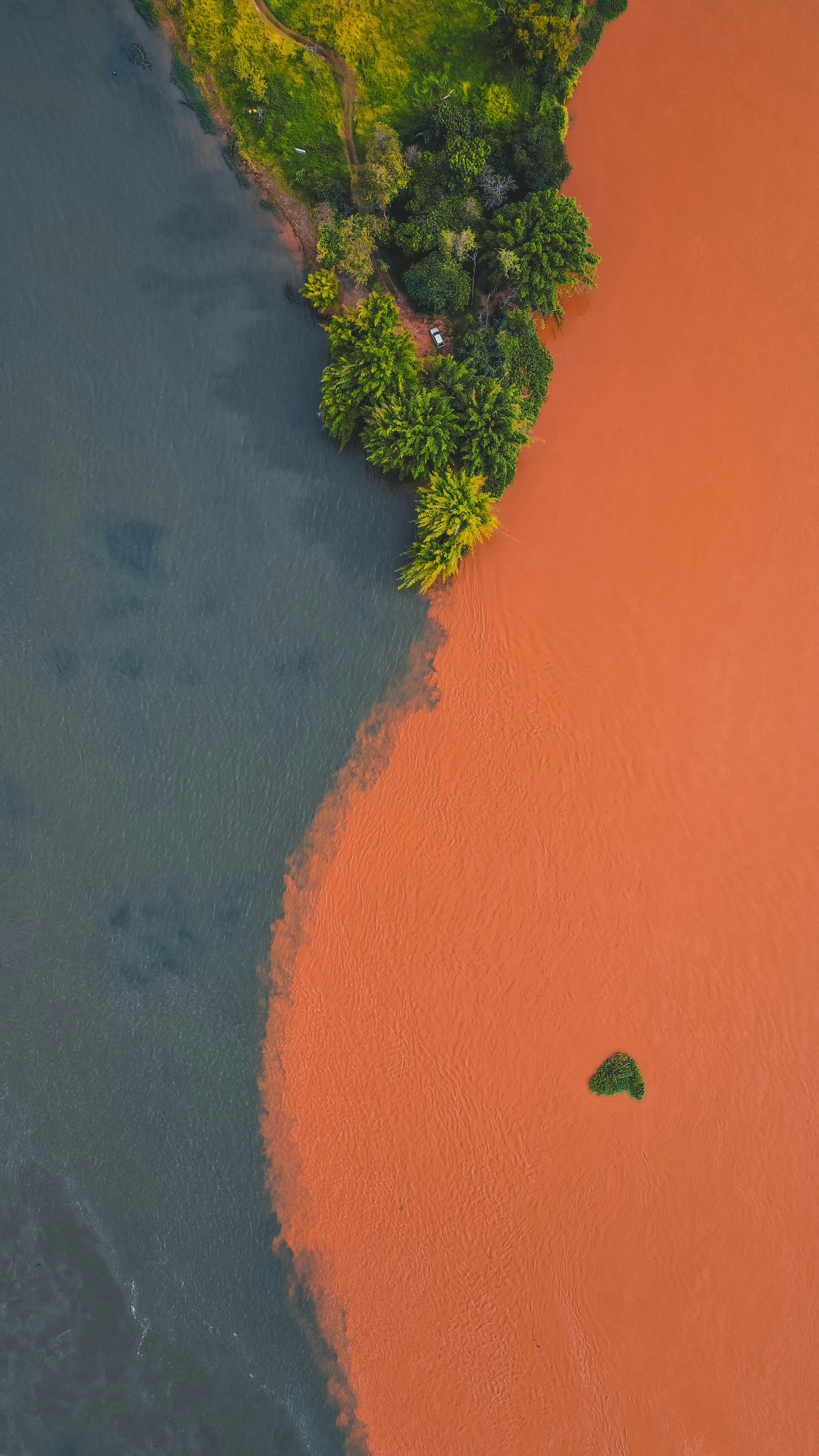 207+ Best Free Amazon Stock Photos & Images · 100% Royalty-Free HD ...